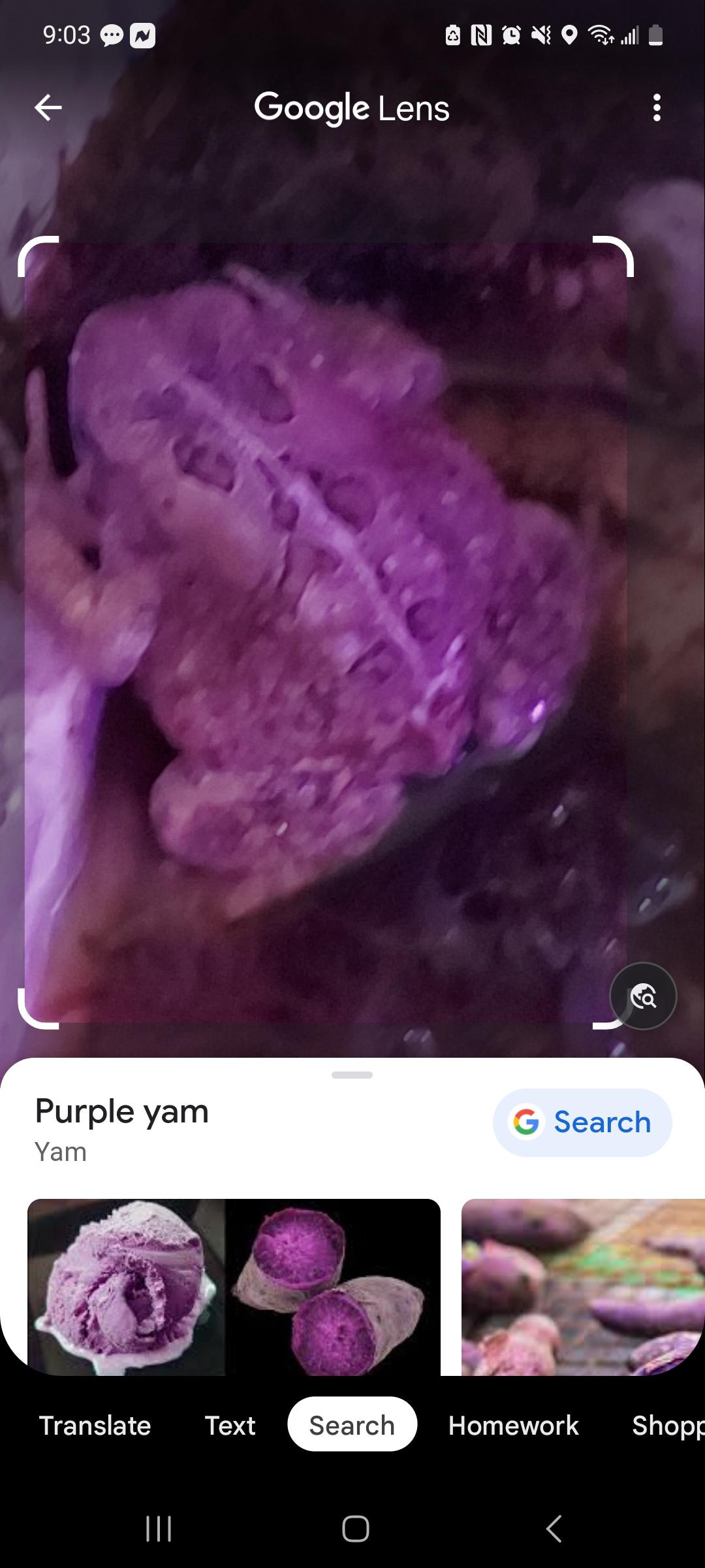 Google image search strikes again 😂😂 | Scrolller