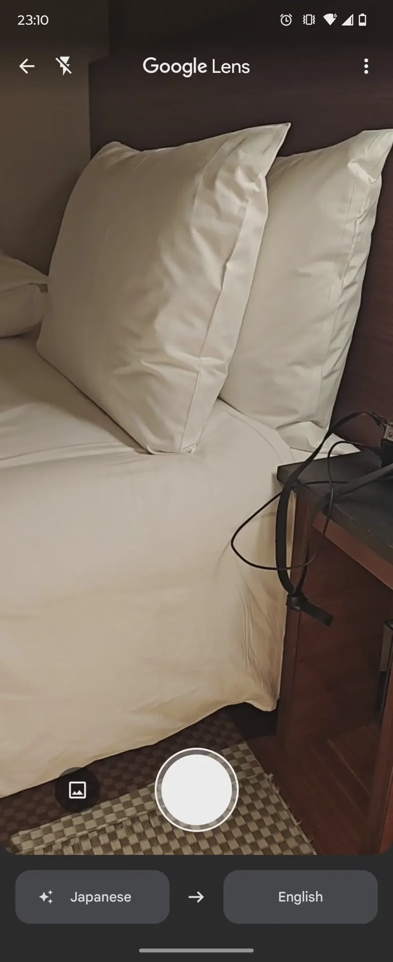 Google Translate feeds me something different | Scrolller