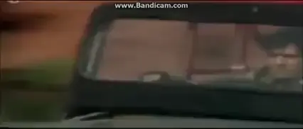 Govinda gets destroyed by the attack of the flying cats | Scrolller