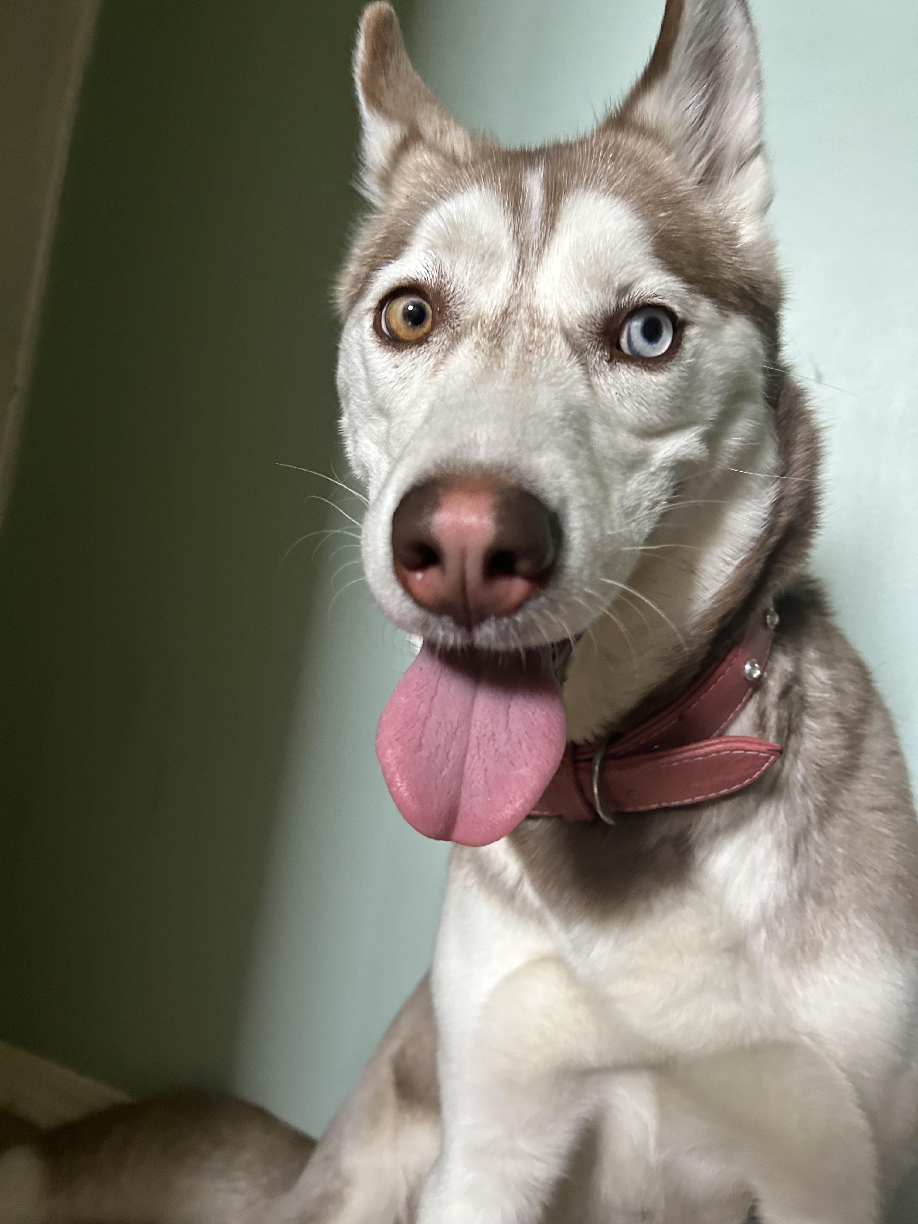 More derp. | Scrolller