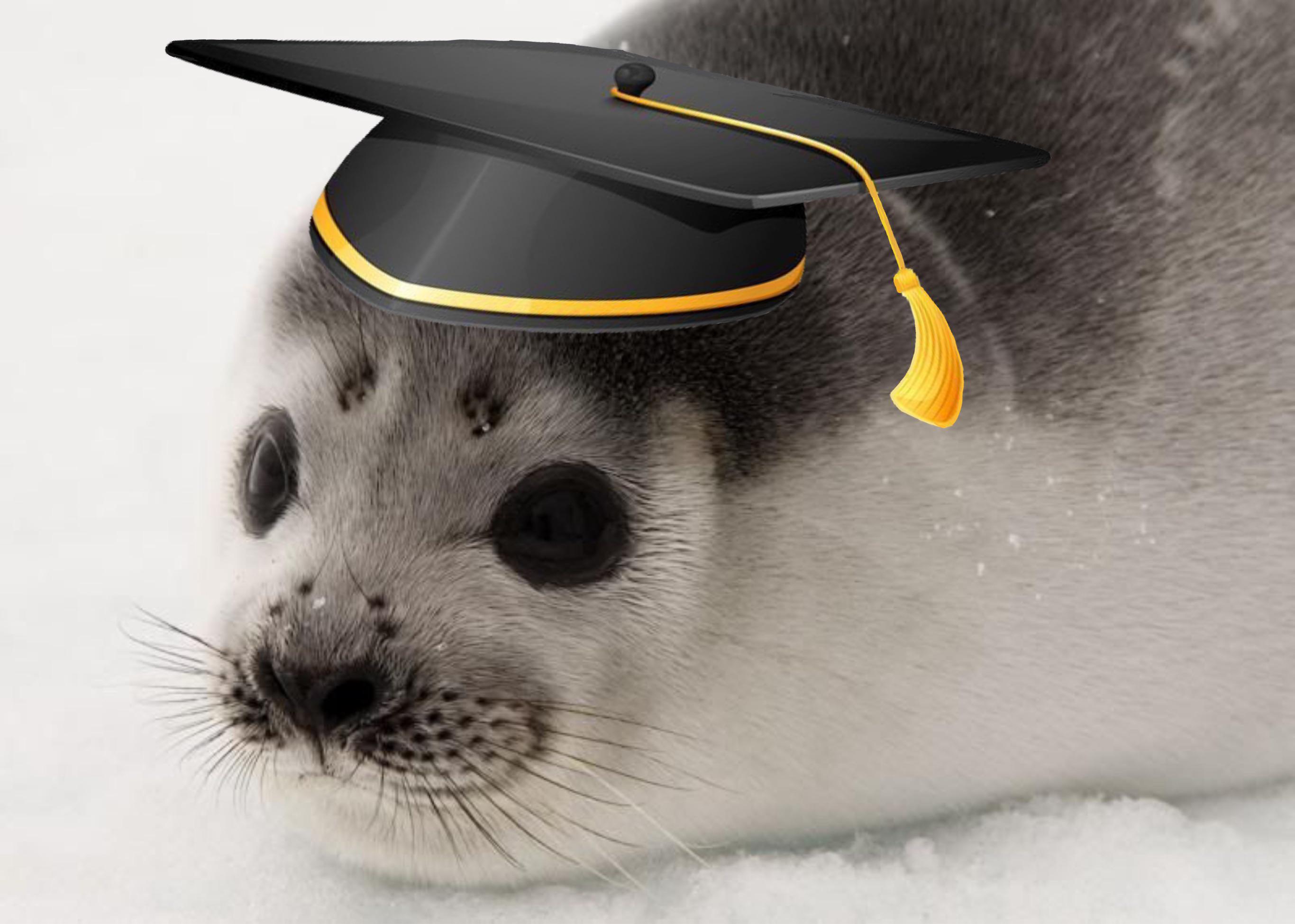 Graduated seal! | Scrolller