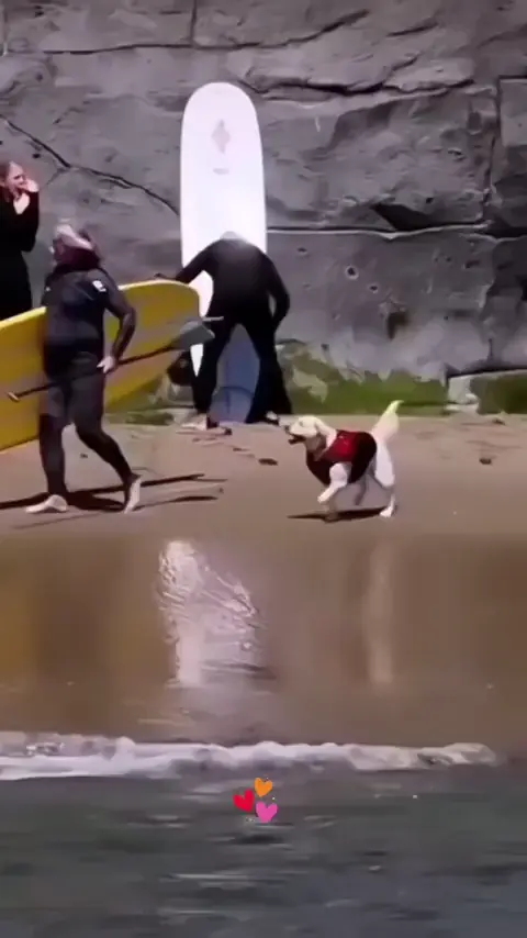 Grandpa surfing with grandson and what balance they made on surfing board. | Scrolller