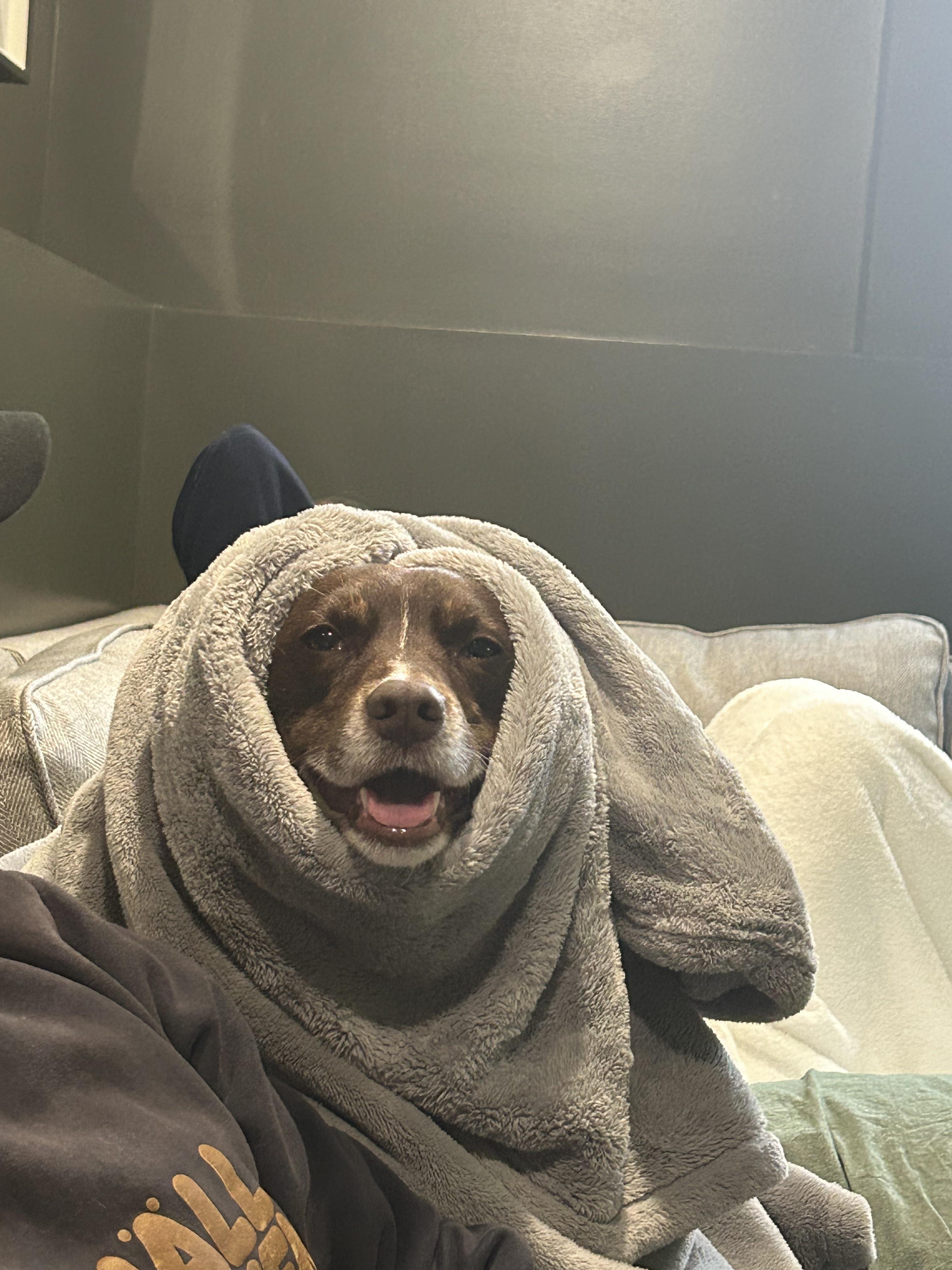 Great success | Scrolller