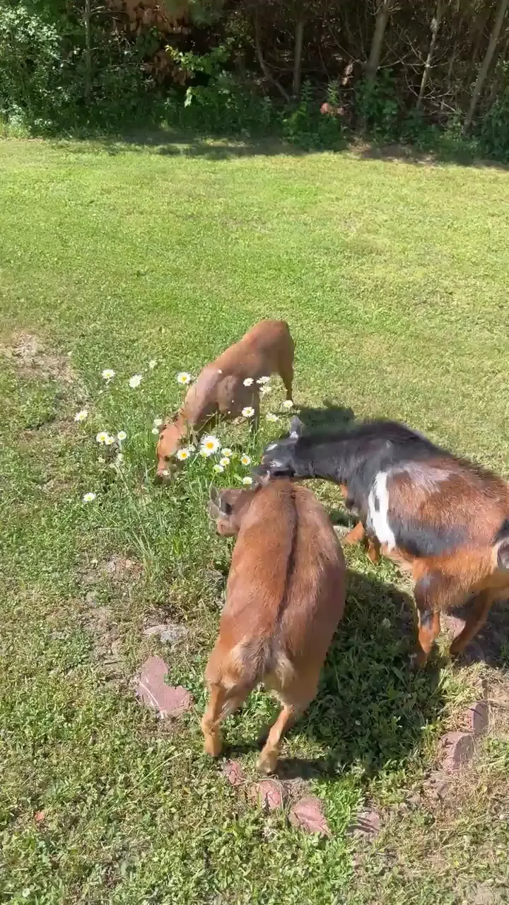 Group fun | Scrolller