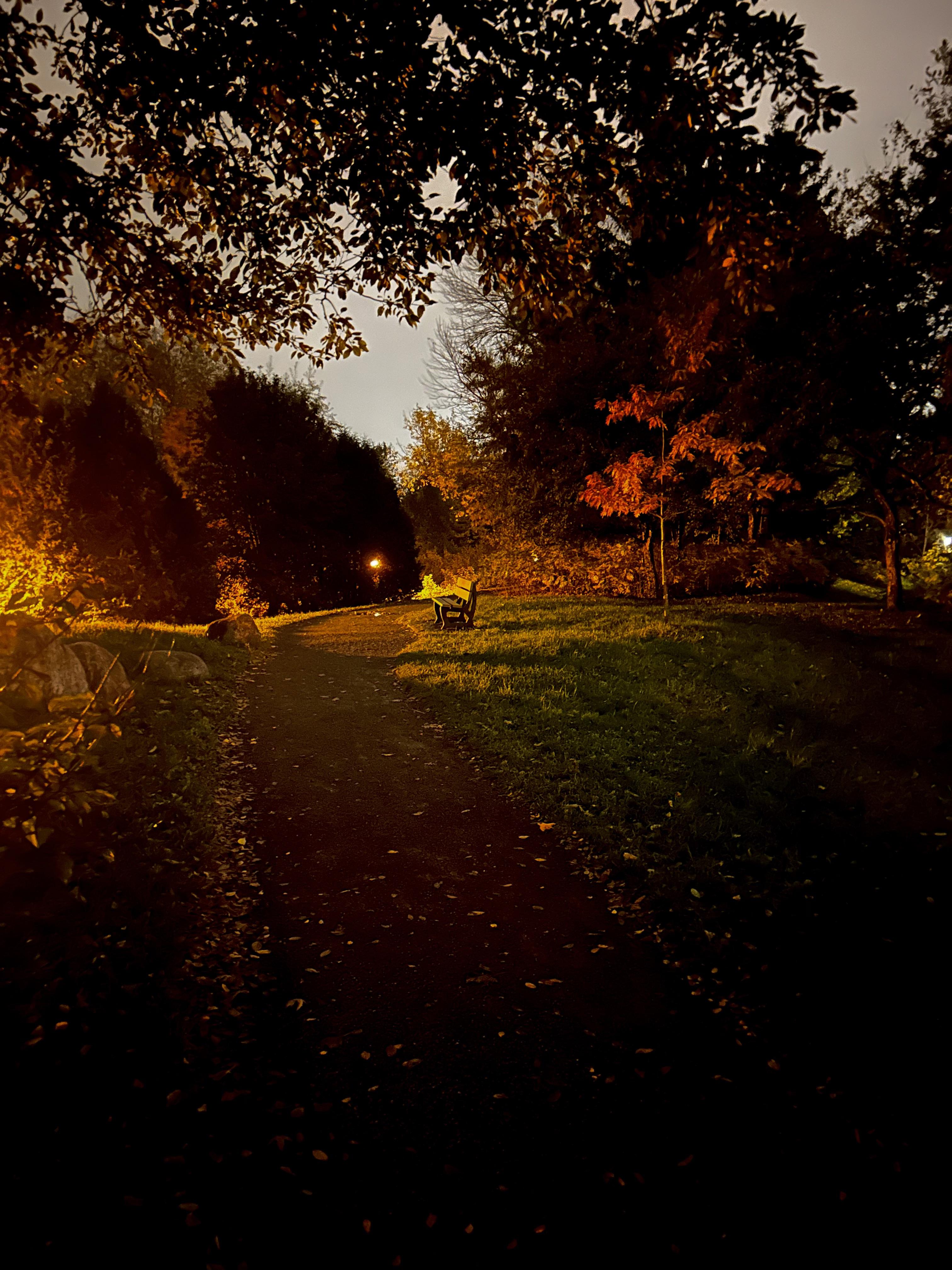 Discover More Like Thenightfeeling Autumn Walks And Related Content