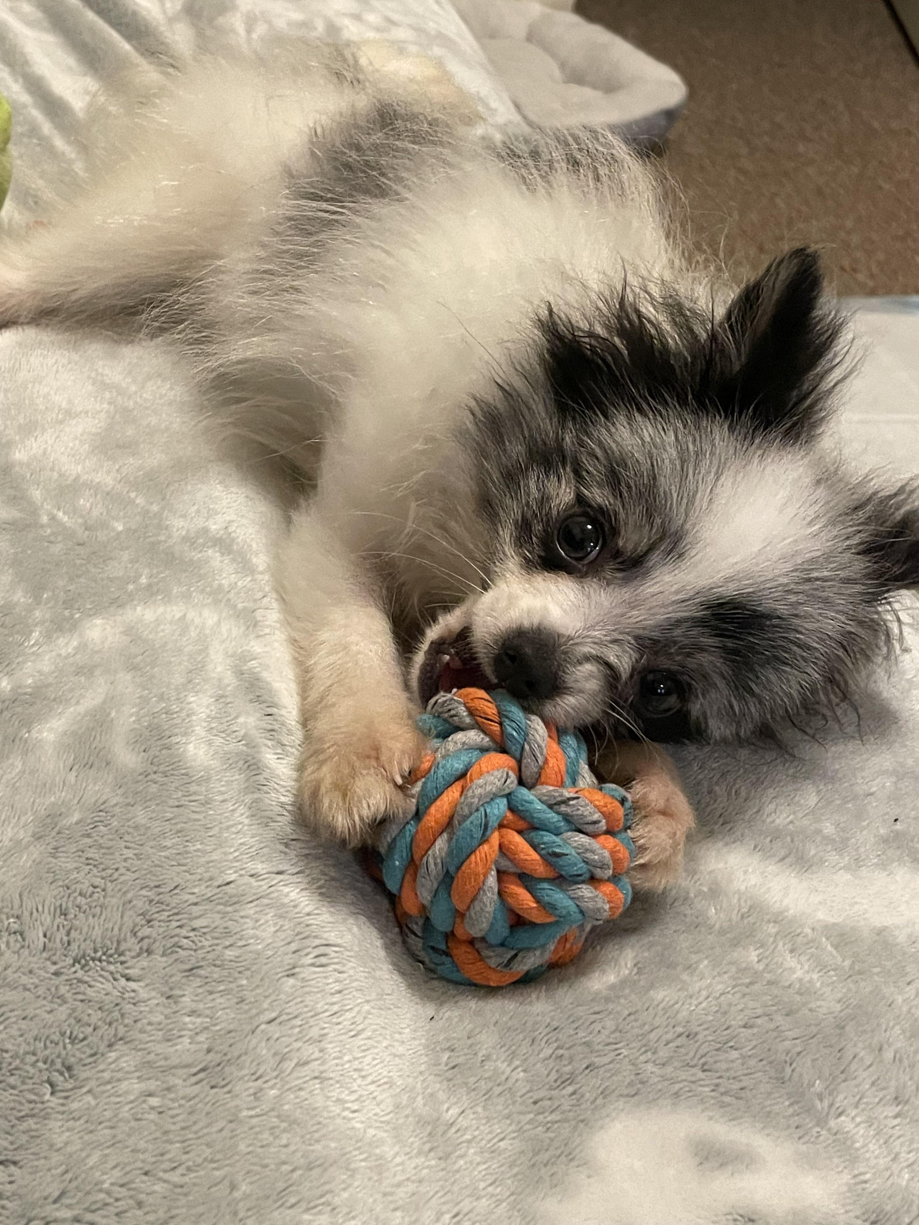 Dapper young man | Scrolller