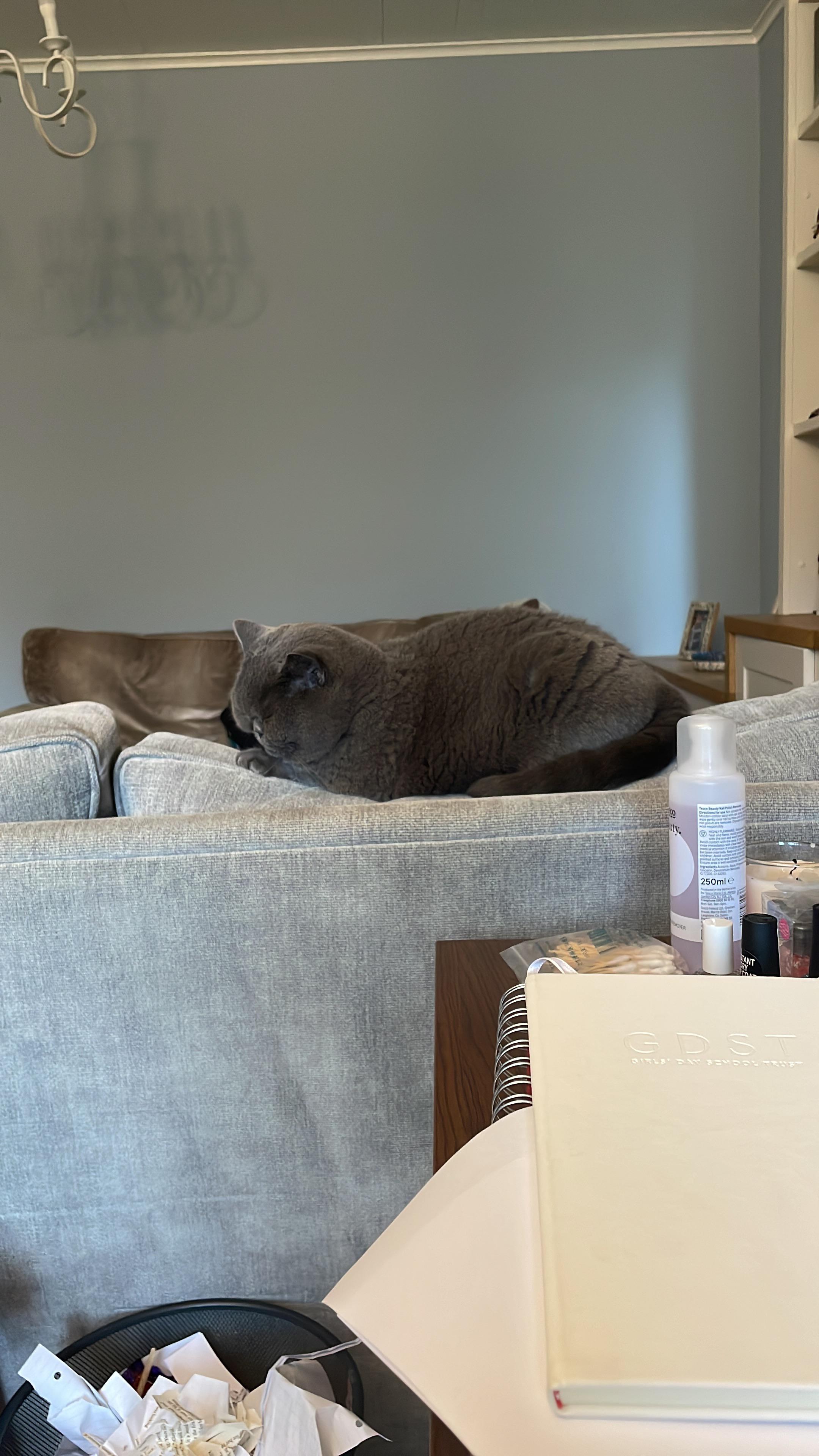 She’s got eight years of experience now ☺️ | Scrolller