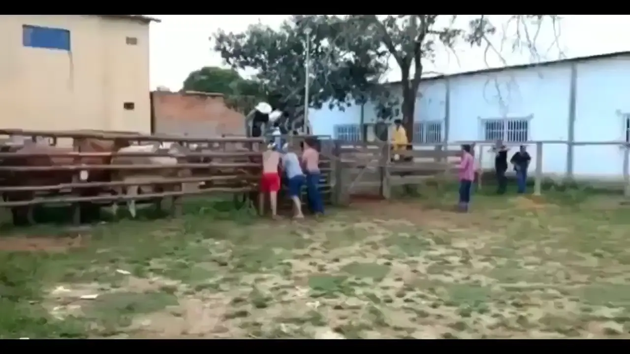 Guy gets flattened by a bull | Scrolller