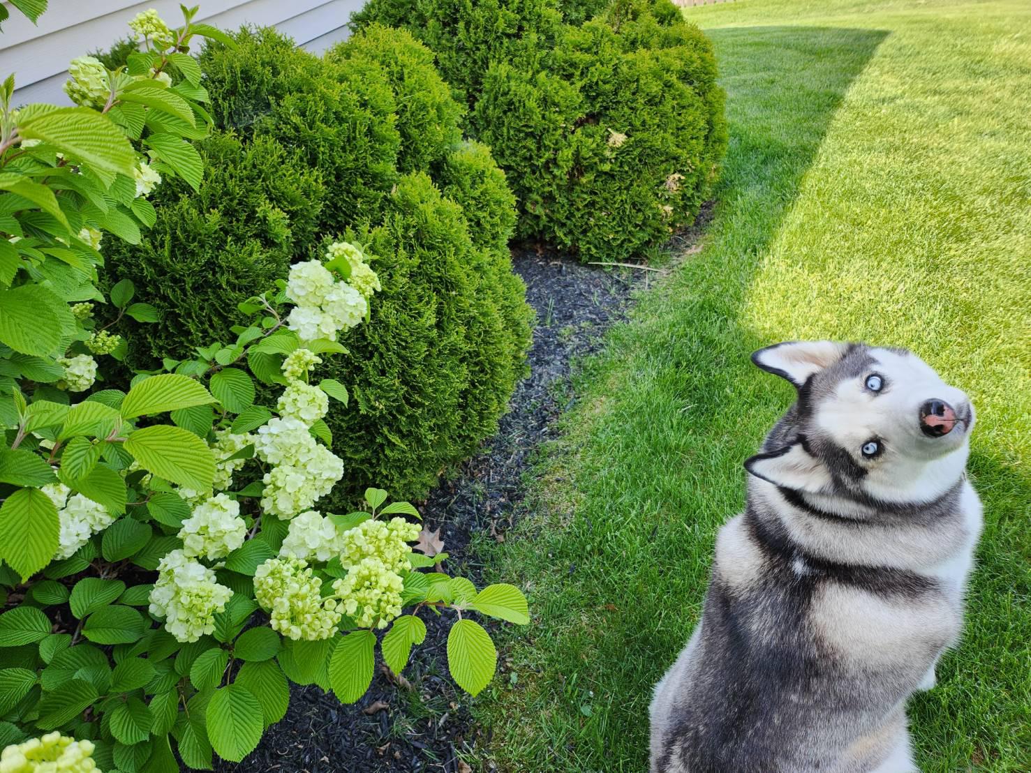 Springtime! | Scrolller