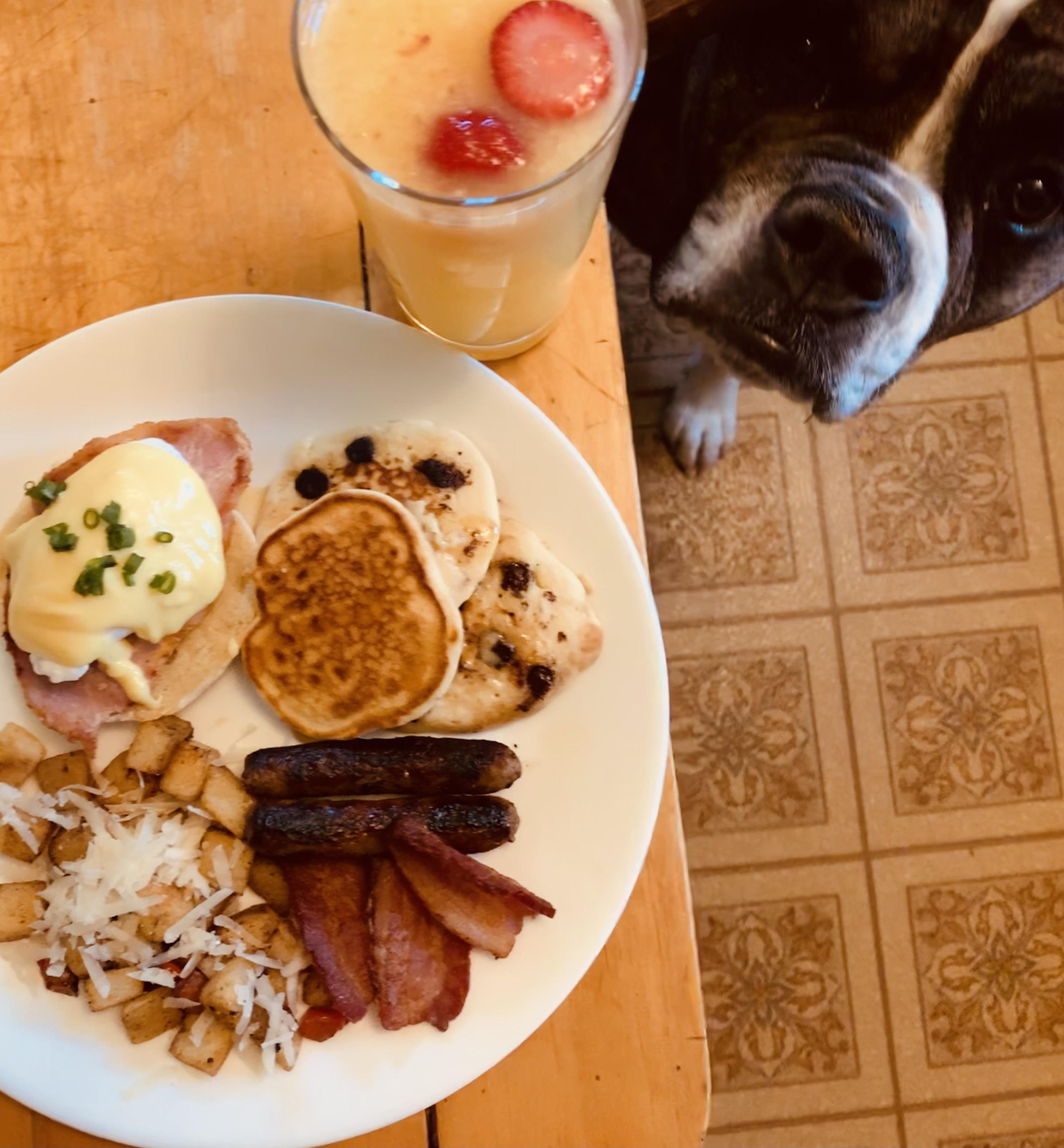 [homemade] Eggs Benedict, Pancakes (plain and chocolate chip) Hash Browns, Bacon & Sausage ...
