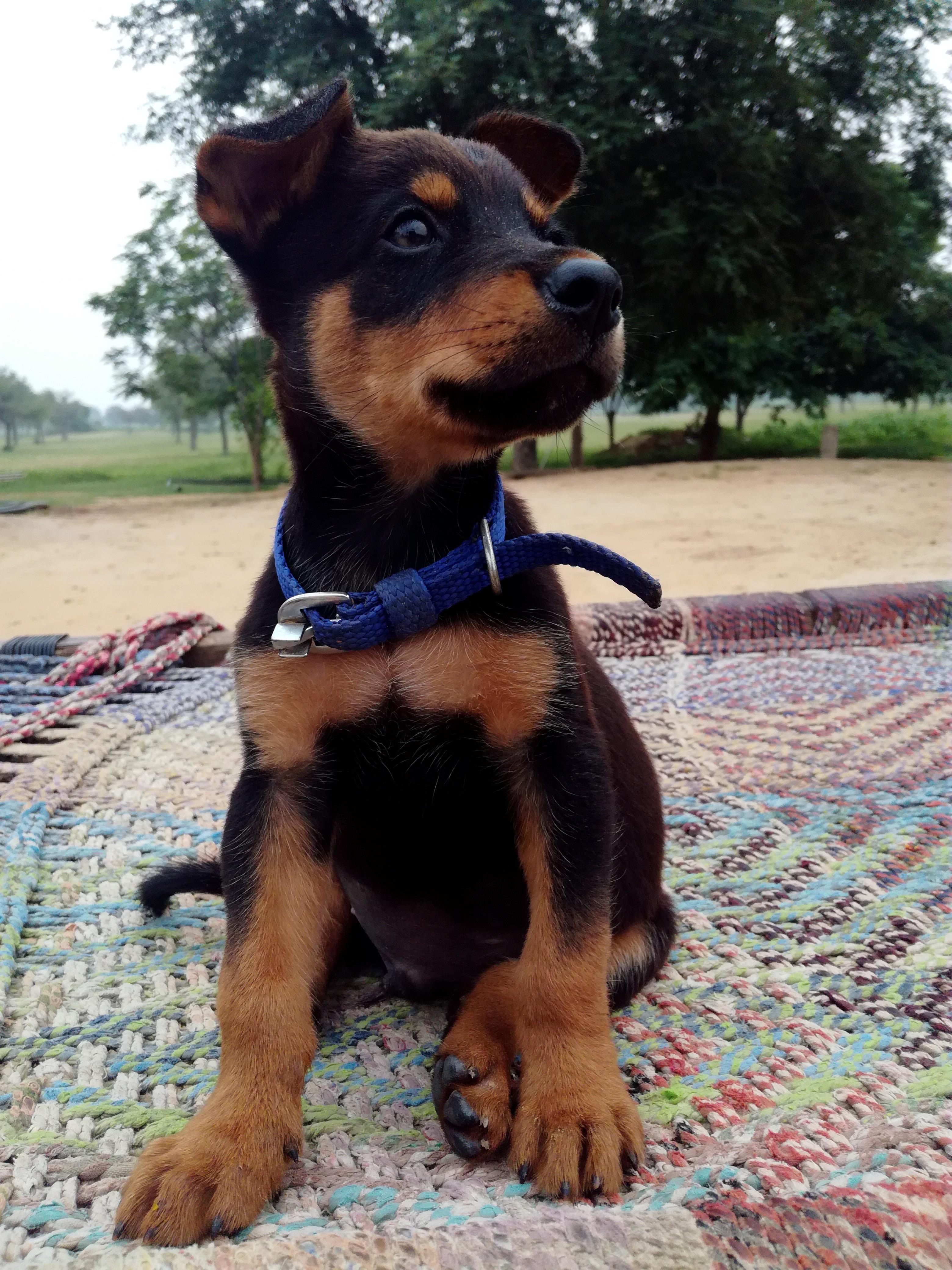 Meet jack | Scrolller