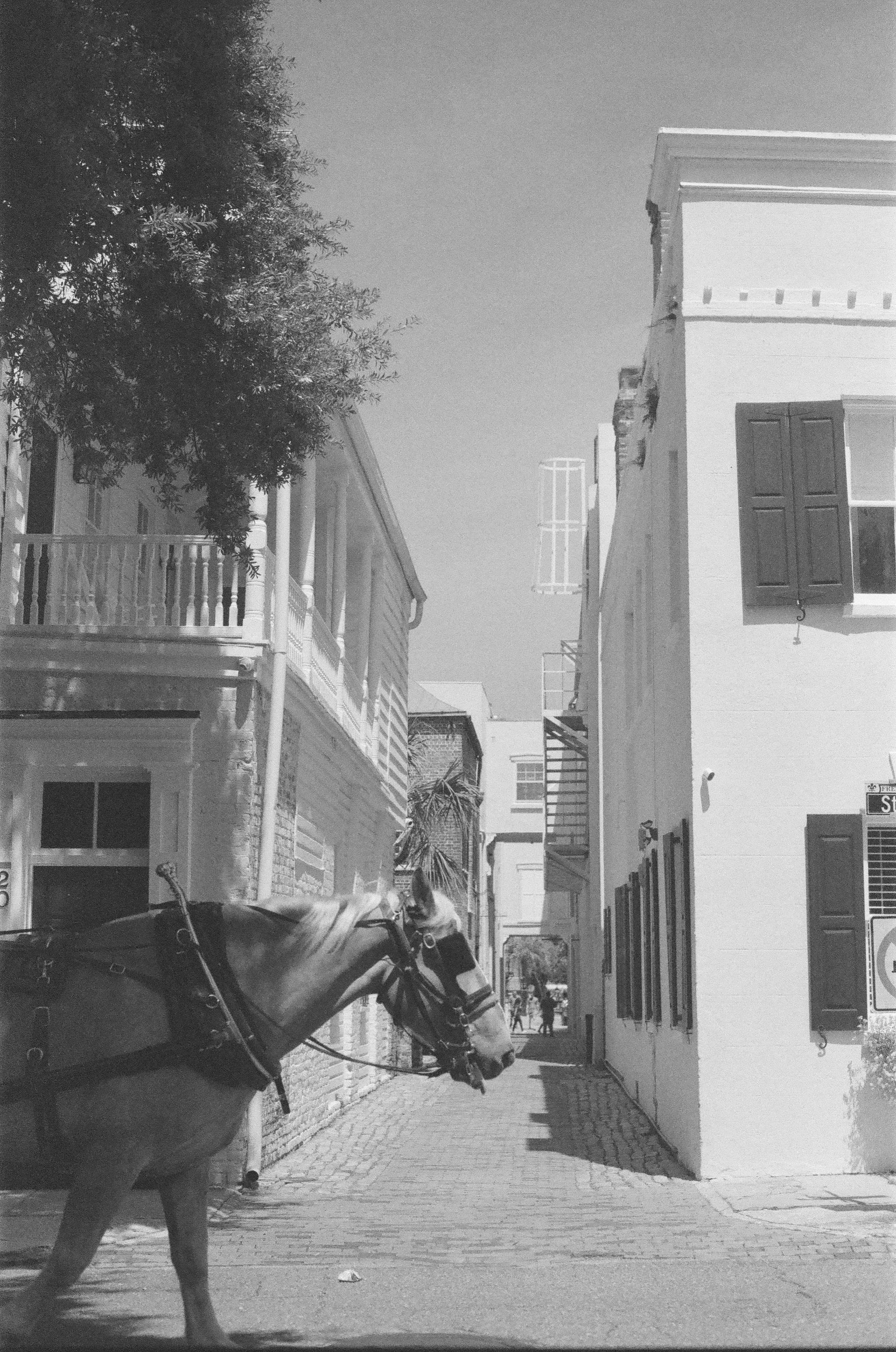 Discover more like Analog: Canon A1 + Canon 50mm f2.8 with Ilford HP5 plus and Related Content ...