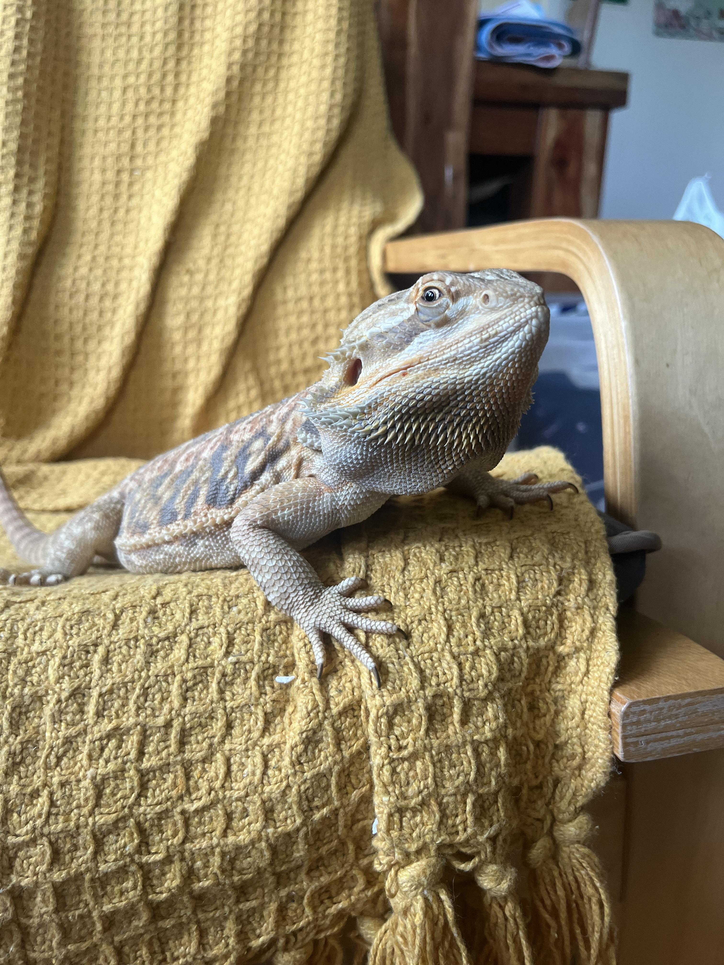 YOU MUST WISH THE KING SULLY A 1st HAPPY BIRTHDAY 🫡 | Scrolller