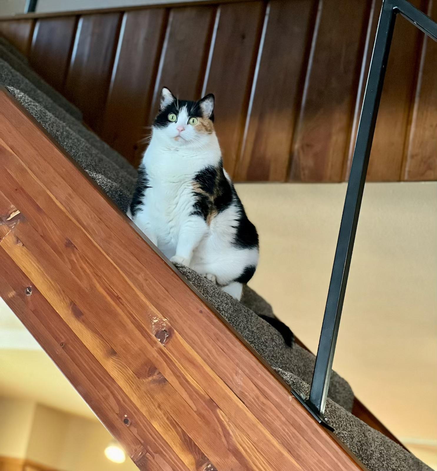 This is Mama | Scrolller