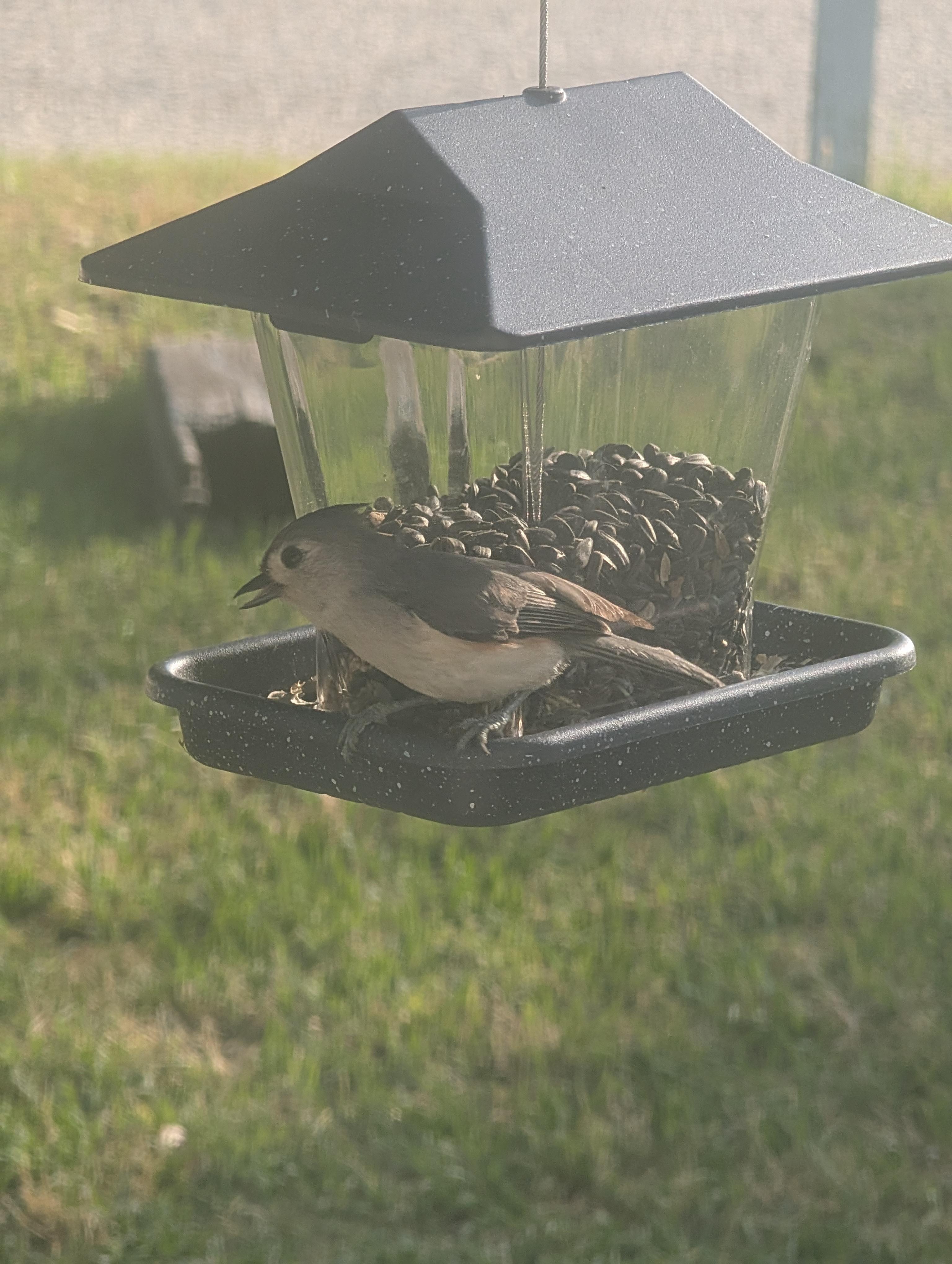 Meet Charlie... | Scrolller