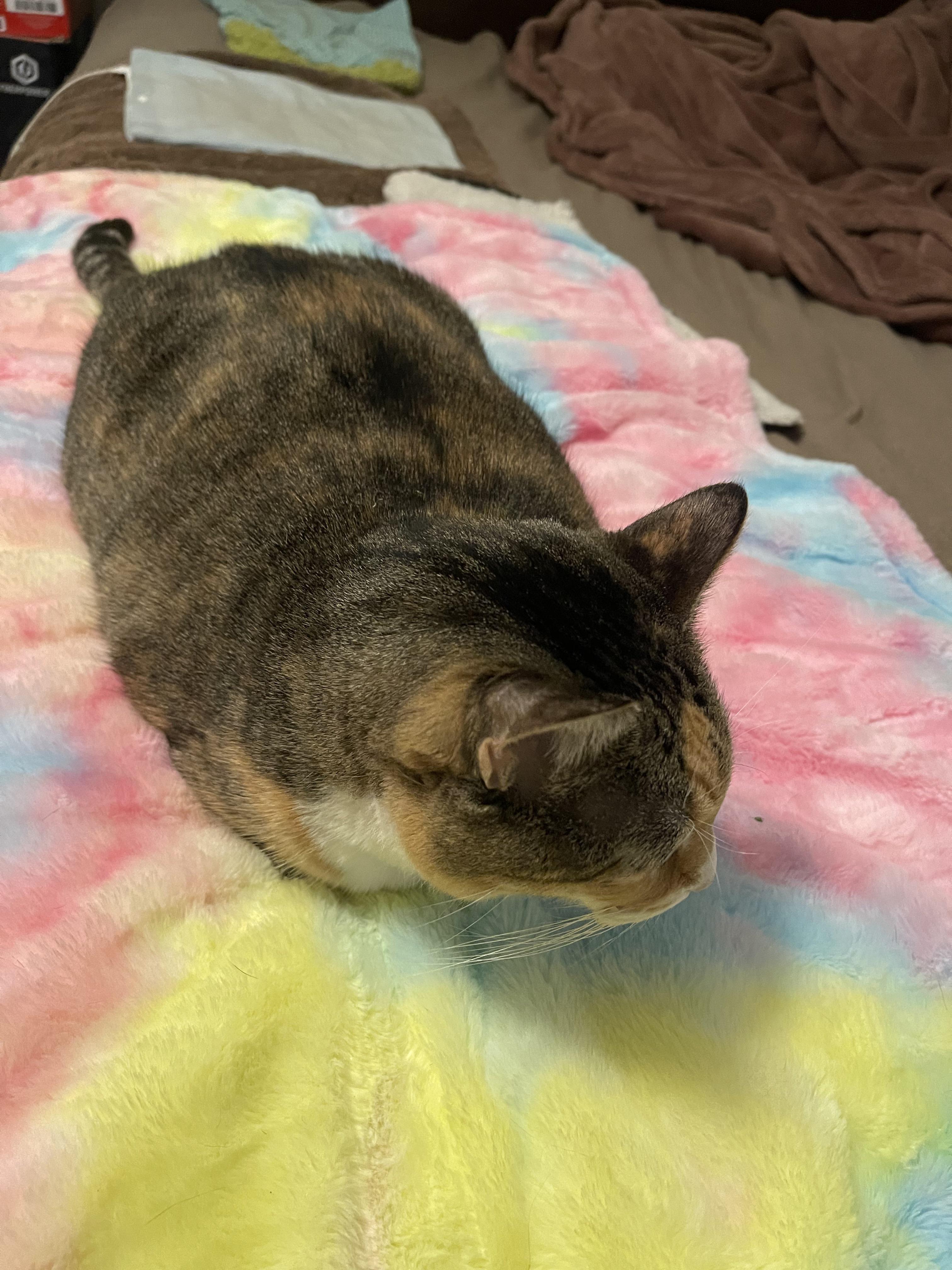 Sweet n Sassy Loaf | Scrolller