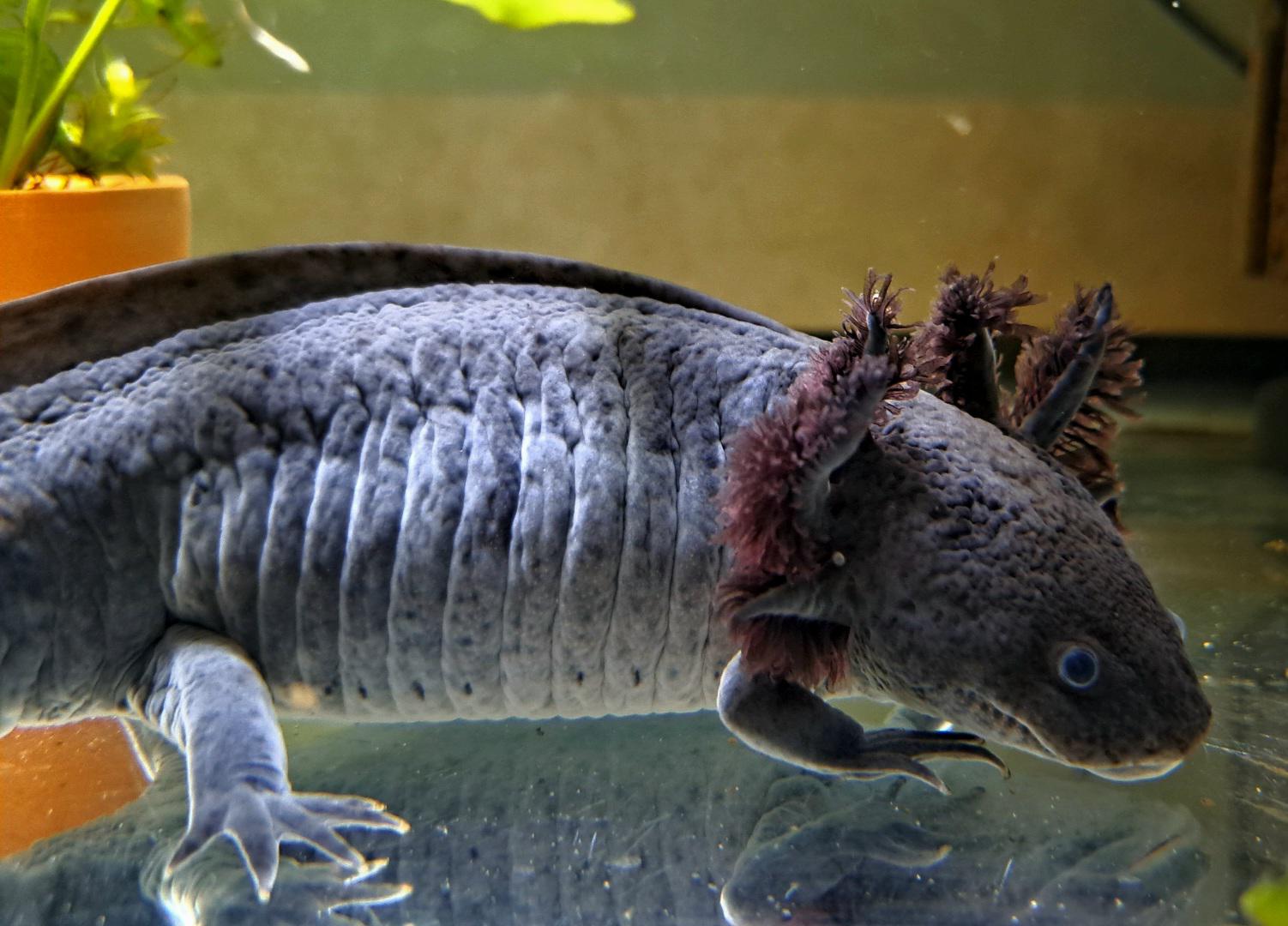 Do your worst, complete creative freedom | Scrolller