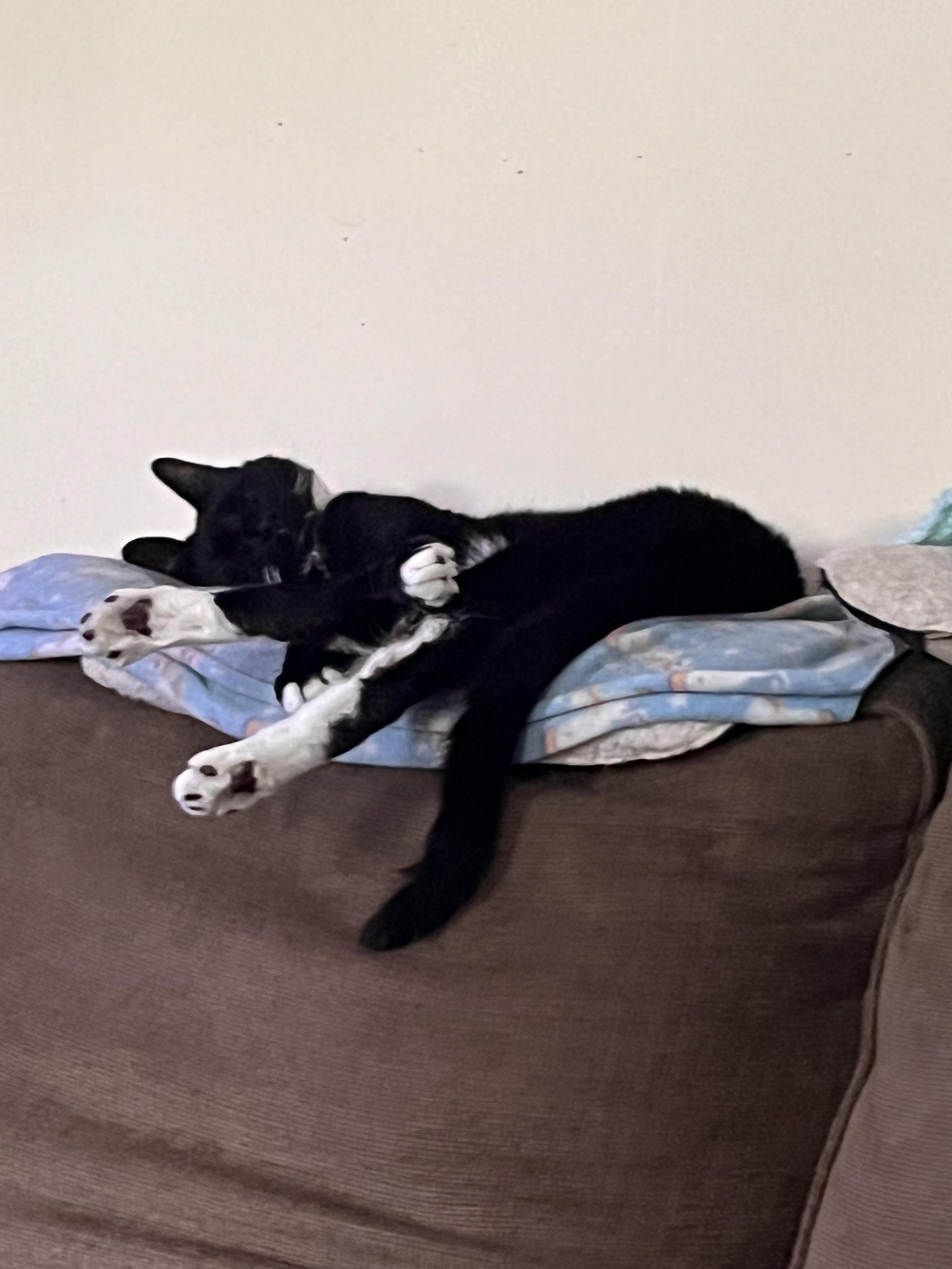 Toe bean boy | Scrolller