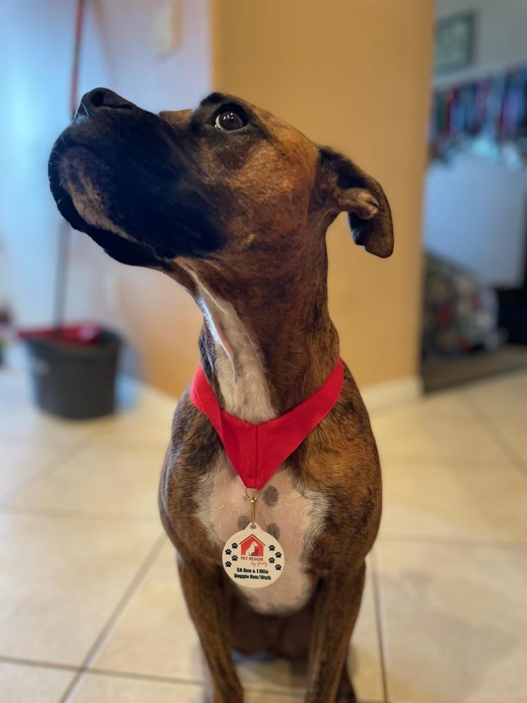 Remy's 3rd 5k | Scrolller