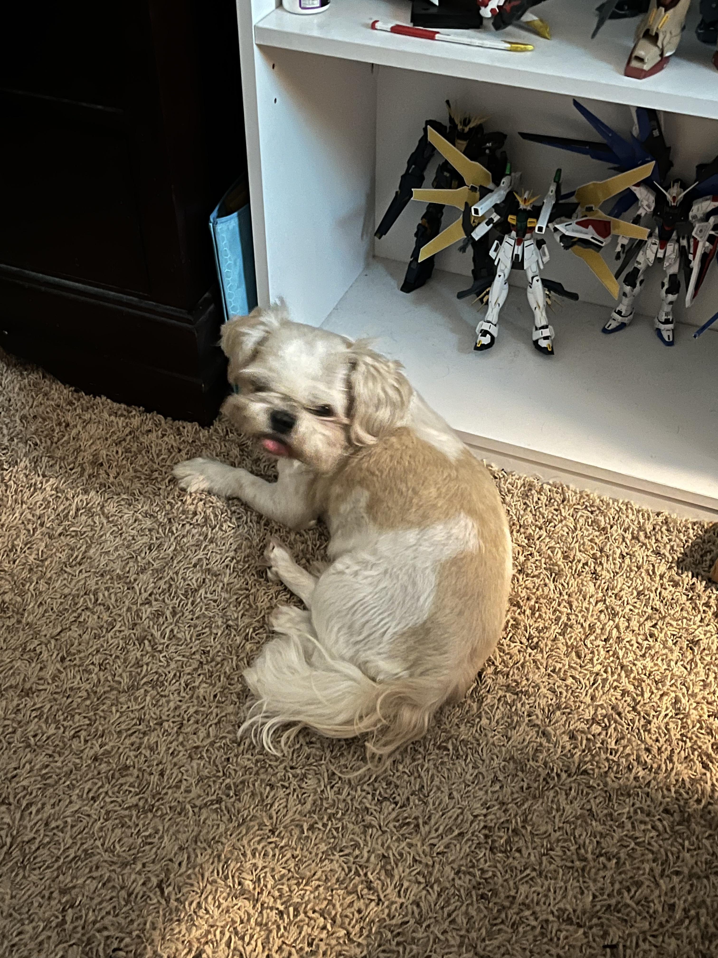 Just Bruce being Bruce | Scrolller