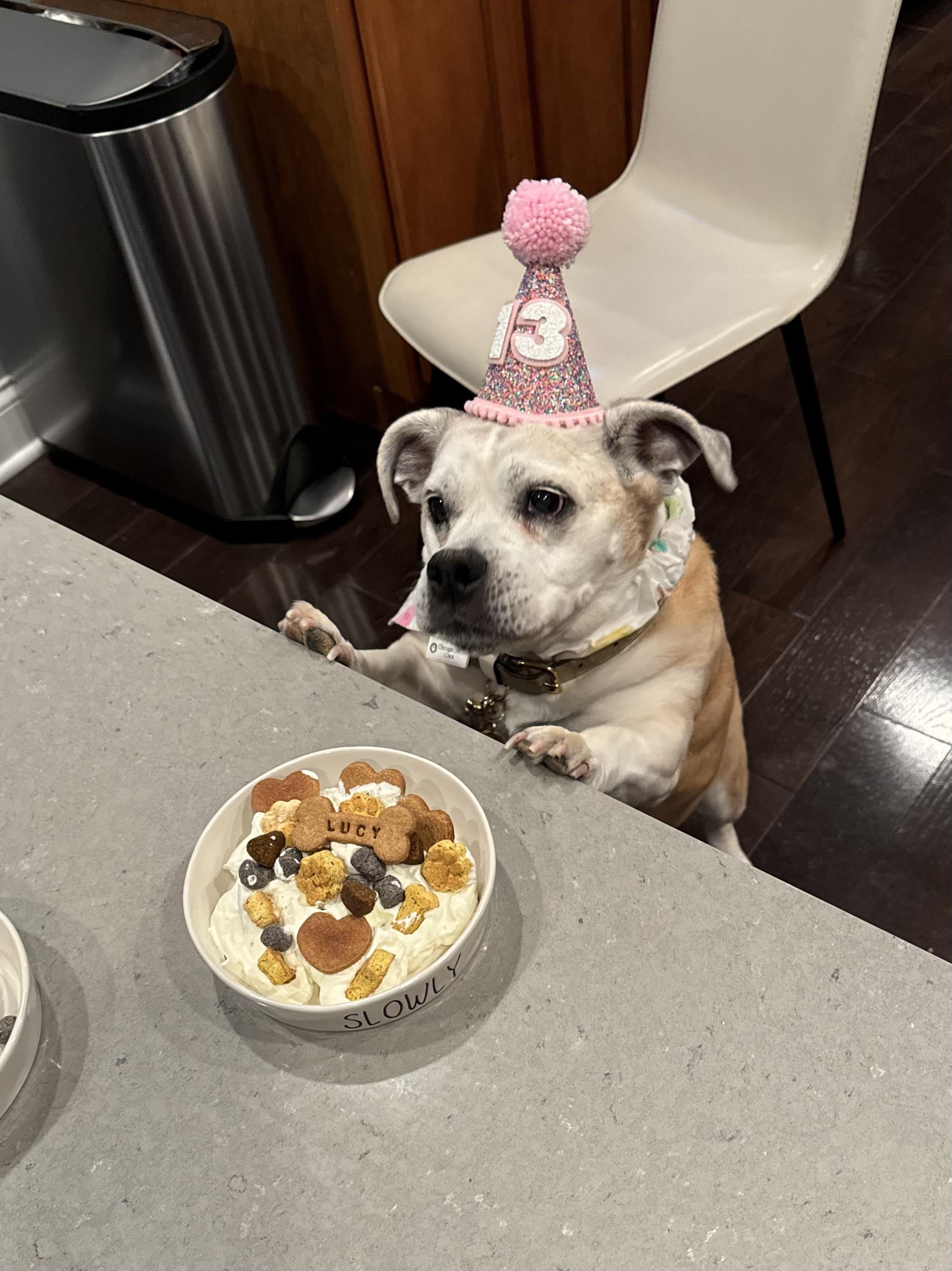 Happy 13, Lucy | Scrolller