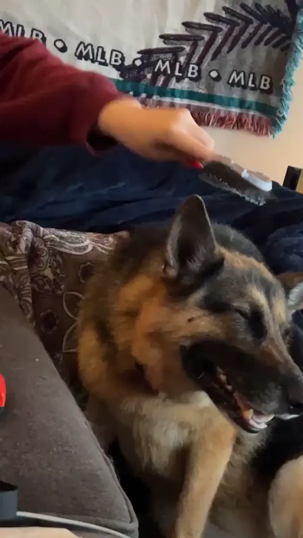 Happy 4th!!!! | Scrolller