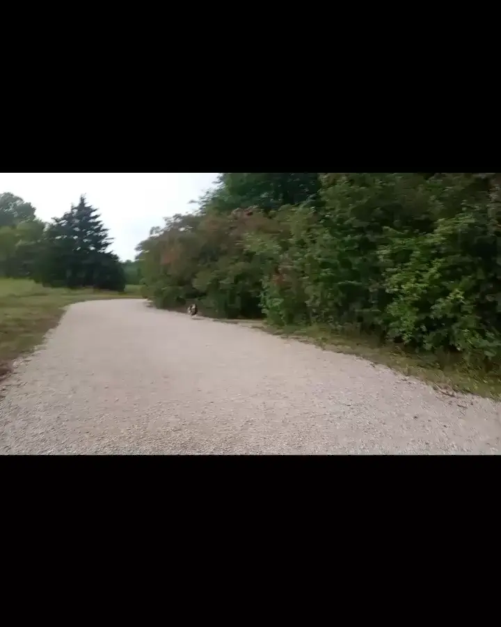 Happy gurl | Scrolller