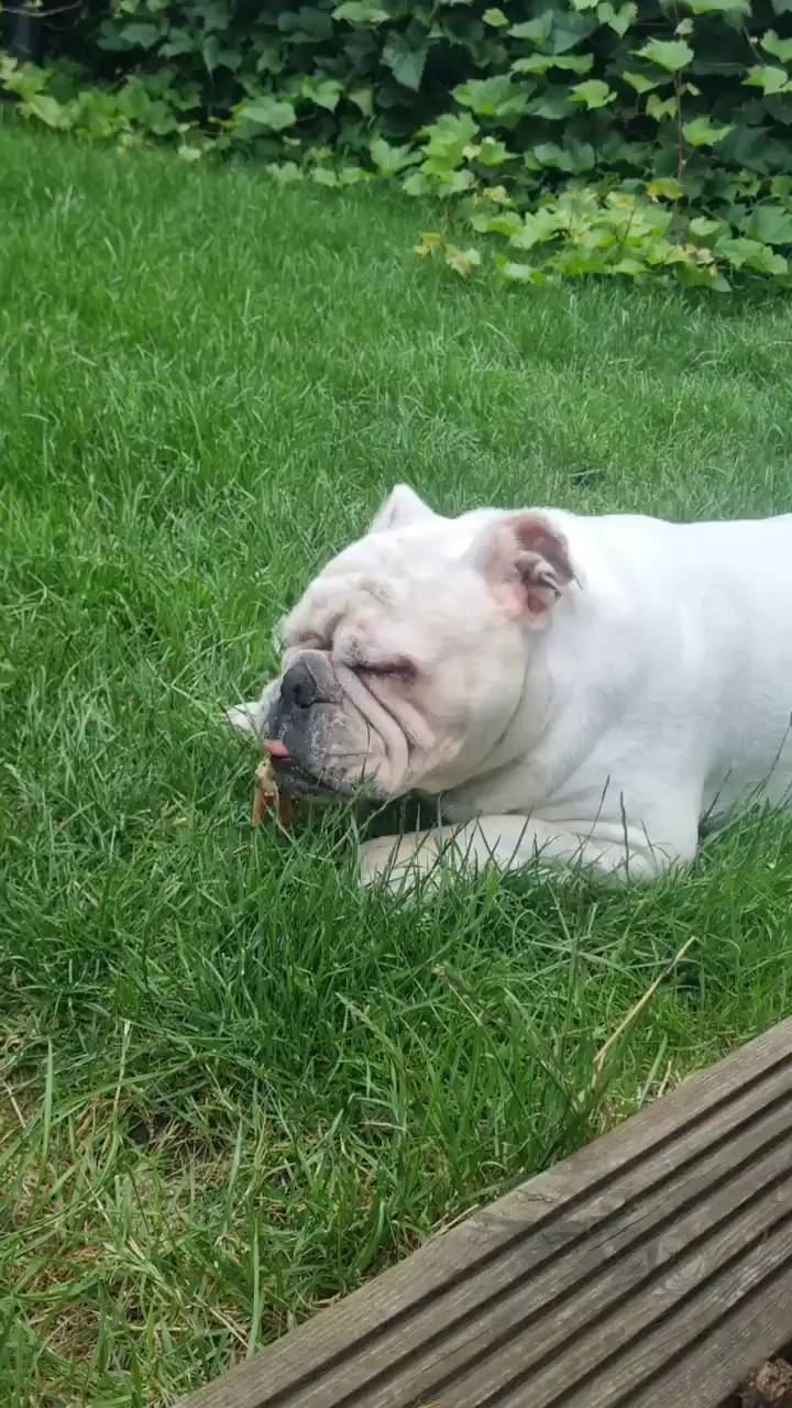 Happy Hera | Scrolller