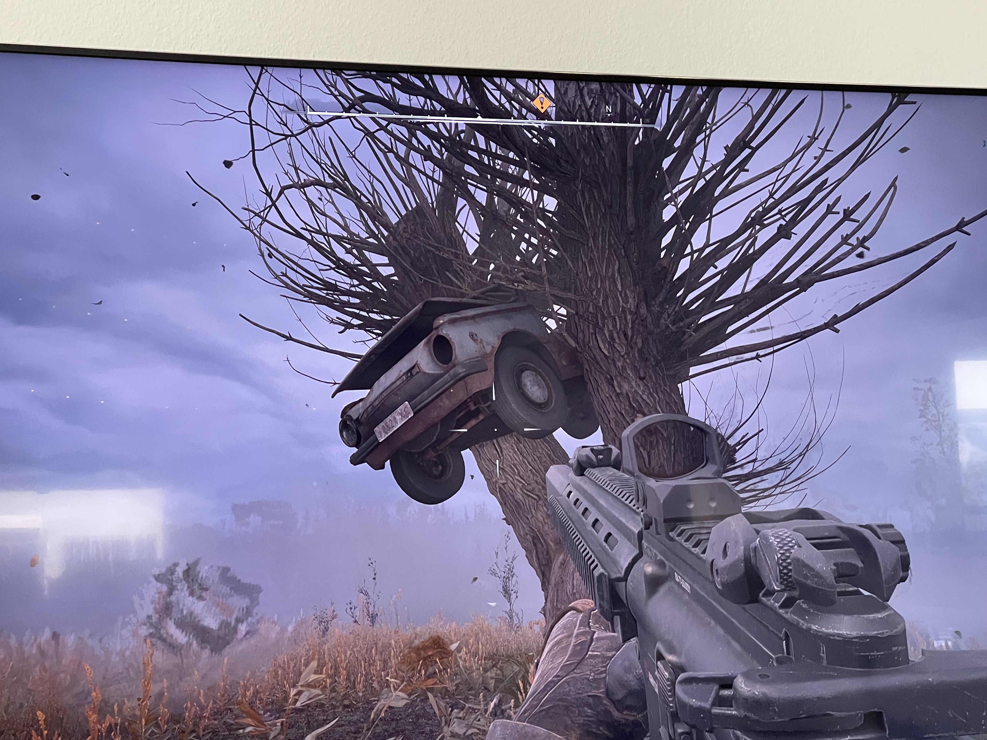 Harry Potter enters the zone | Scrolller