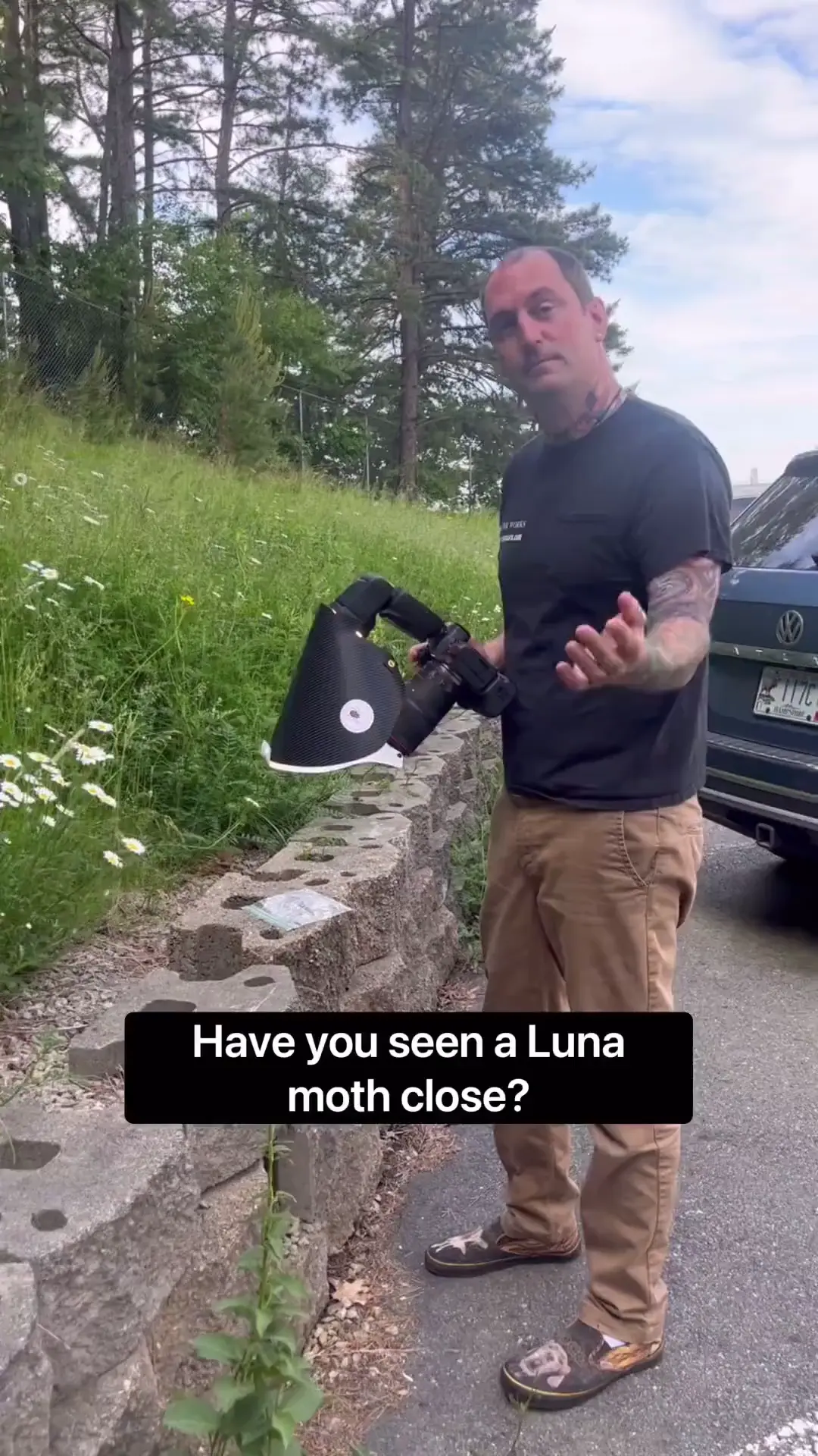 Have you seen a luna moth close | Scrolller