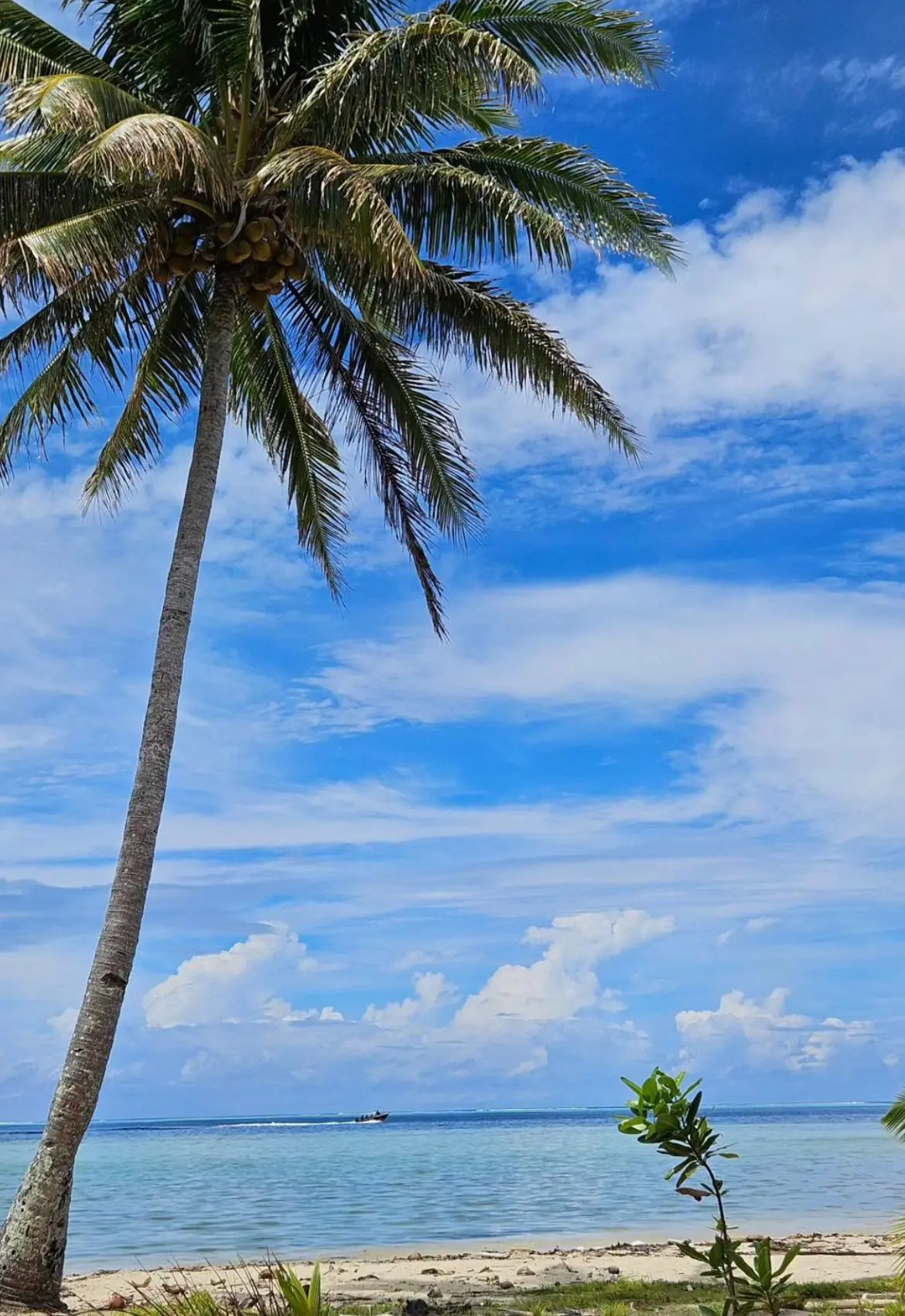 Hawaiian Beaches are beautiful | Scrolller