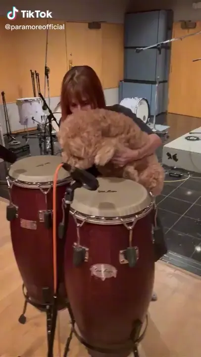 Hayley and Alf in the studio | Scrolller