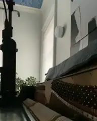 Hayley playing Piano | Scrolller