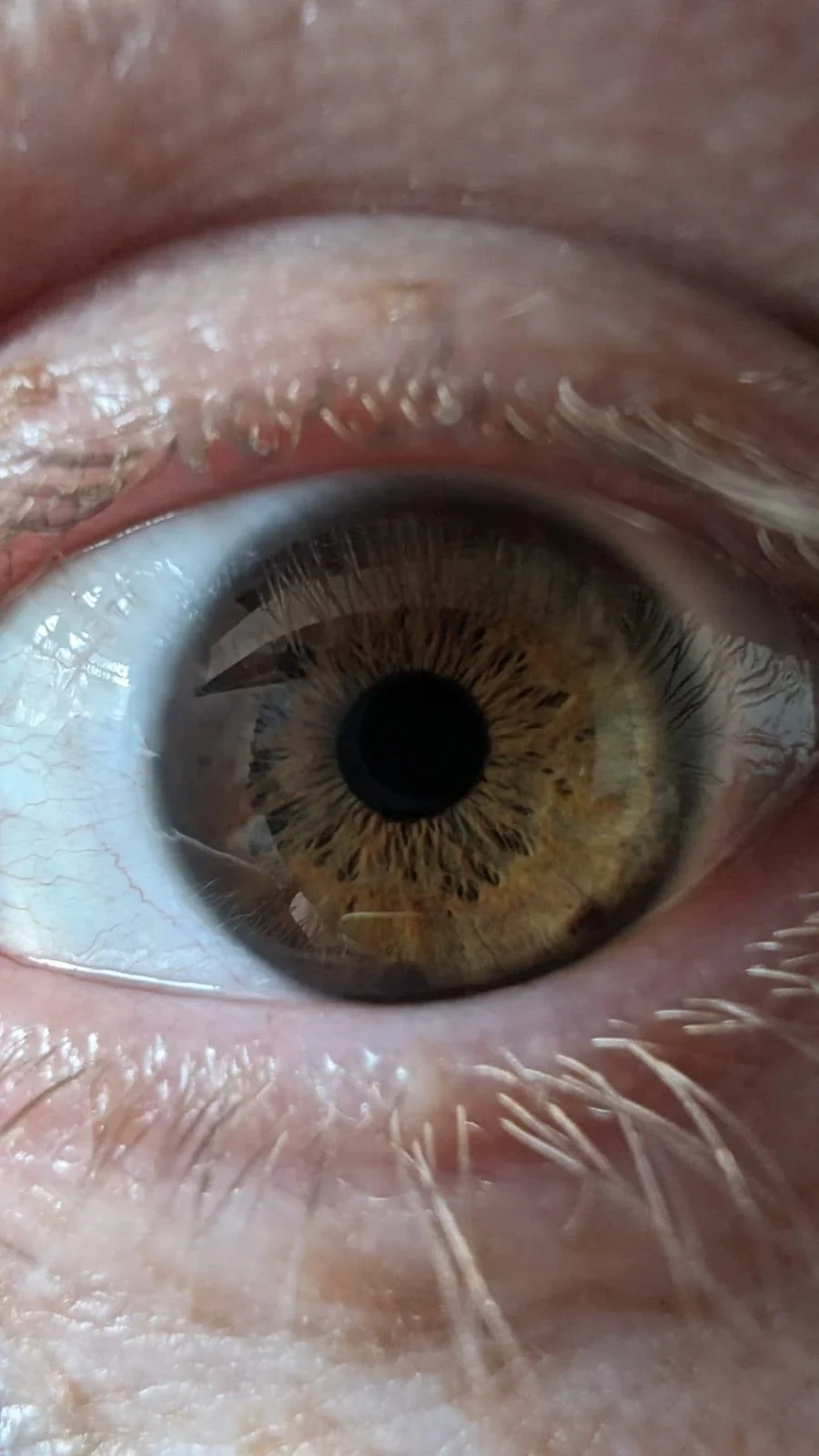 Hazel Gaze | Scrolller