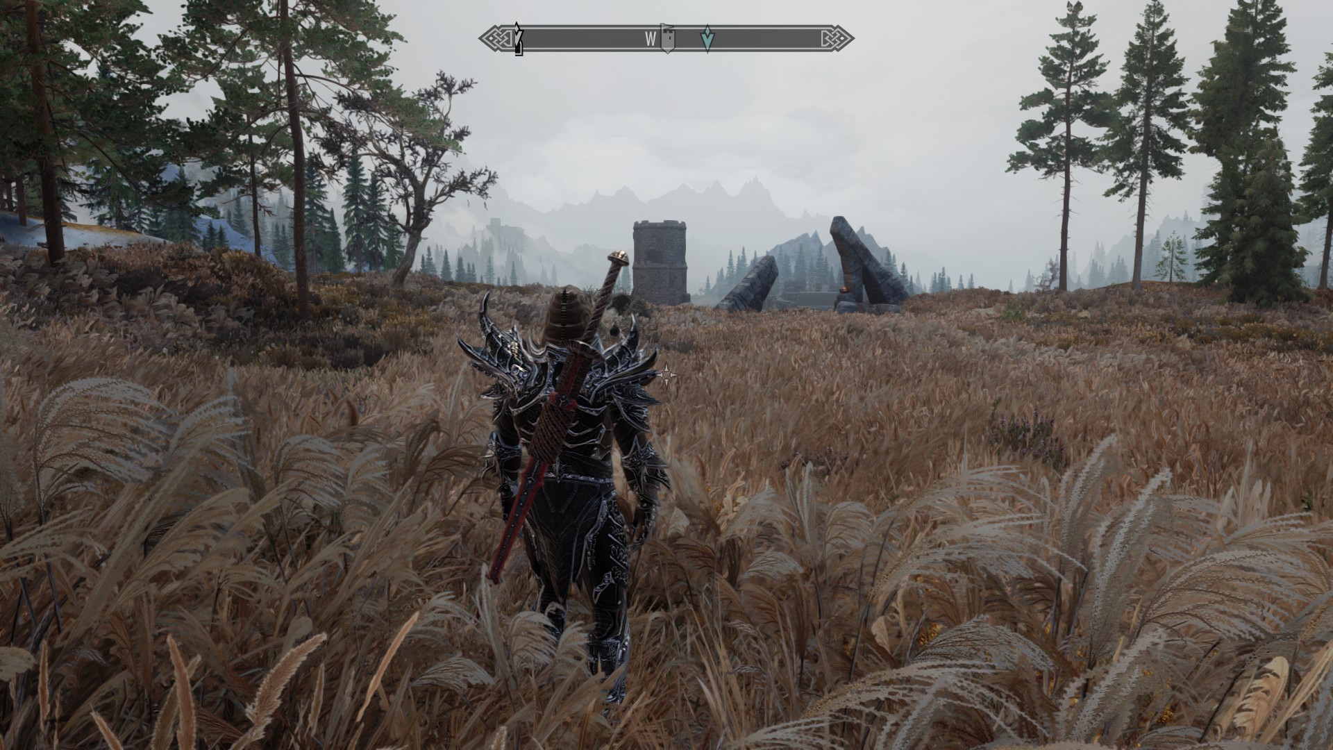 After hours upon hours of modding, I'm finally happy with how my Skyrim looks | Scrolller