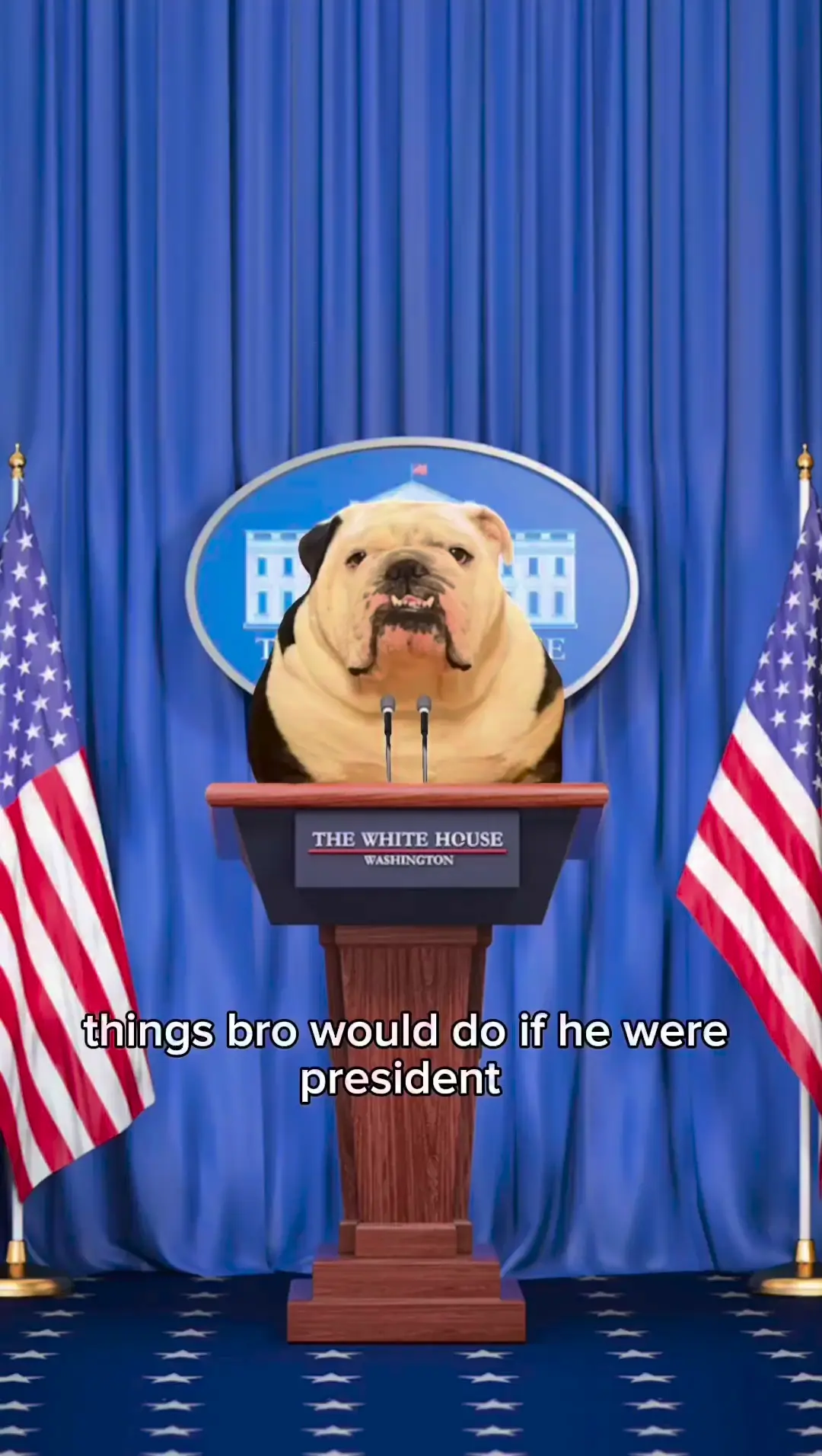 He’s got my vote | Scrolller