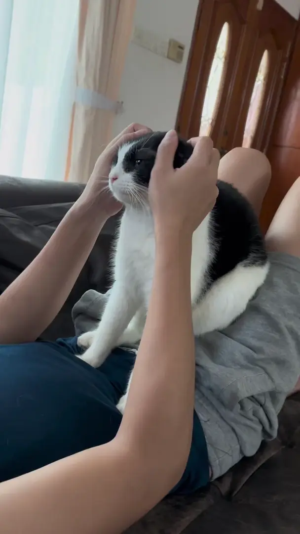 Head scritches and teasing from dad | Scrolller