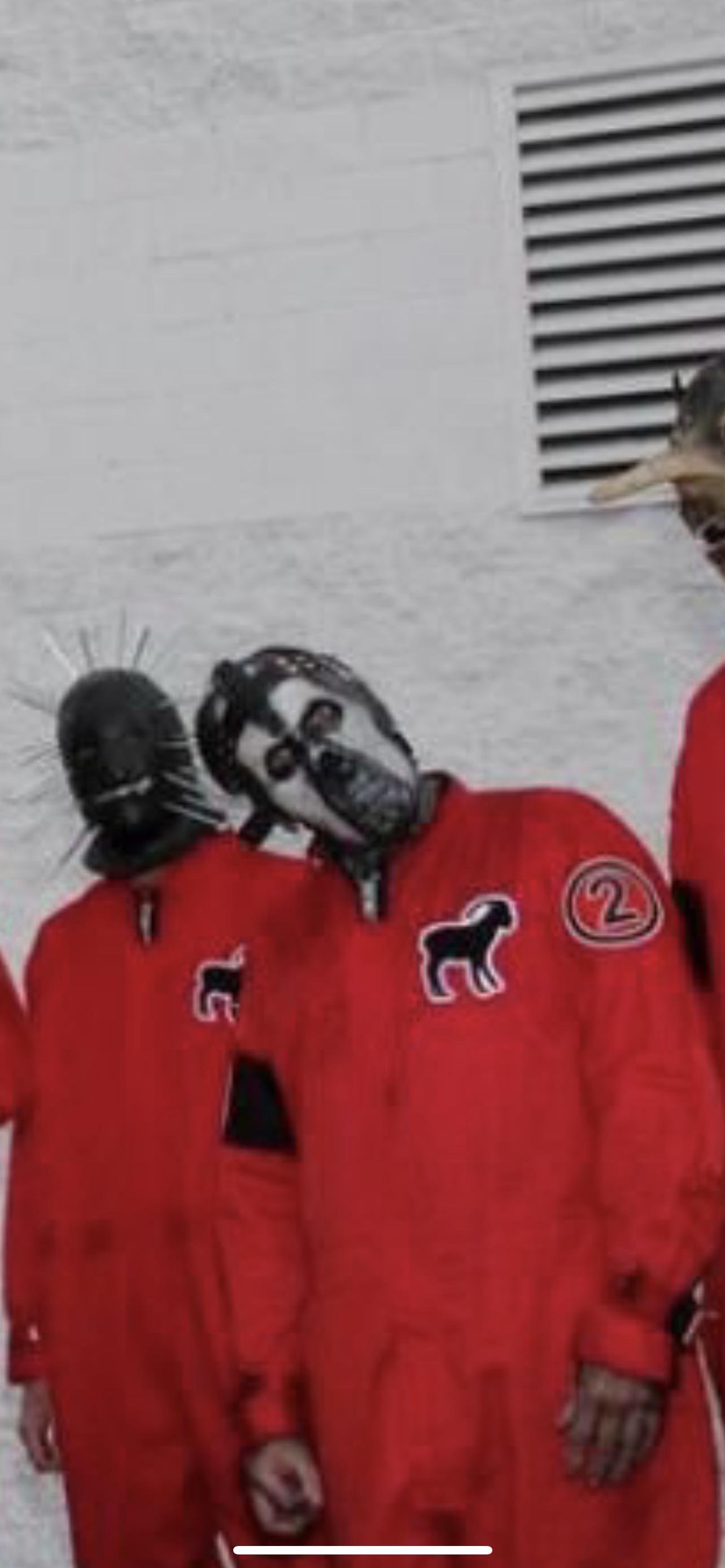 Head tilt | Scrolller