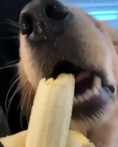 Healthy Snack | Scrolller