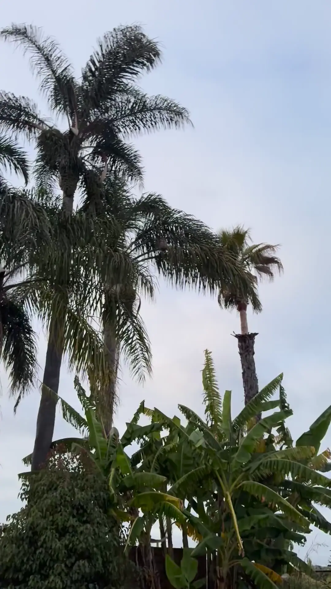 Help identifying! | Scrolller