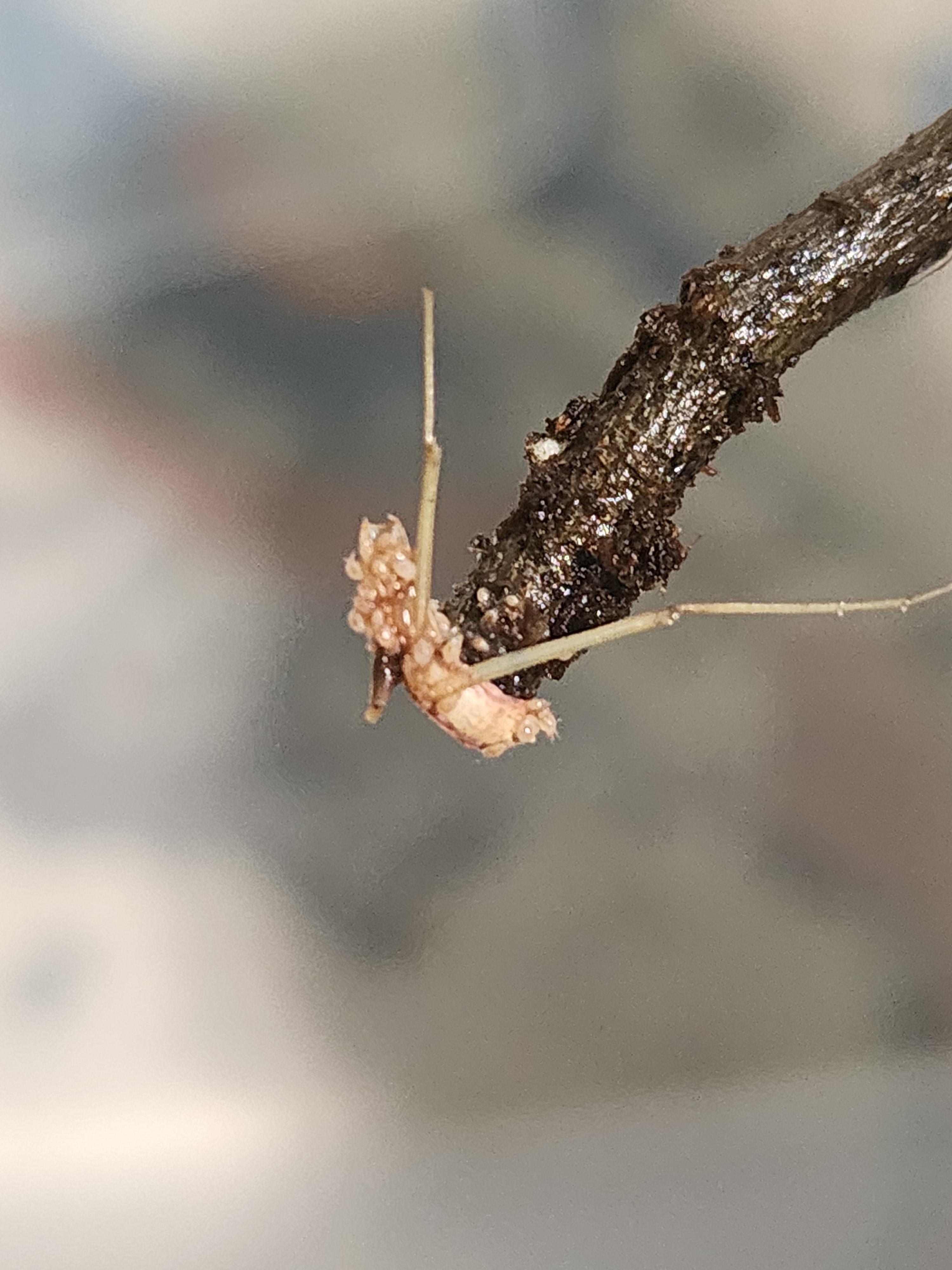 Help! What happened | Scrolller