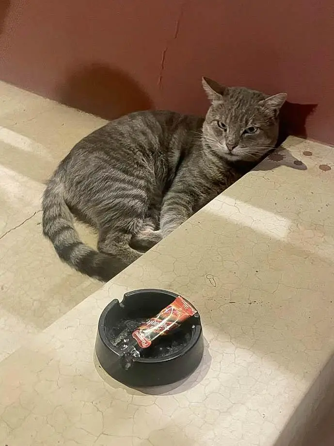 Her boyfriend left her so she started smoking | Scrolller