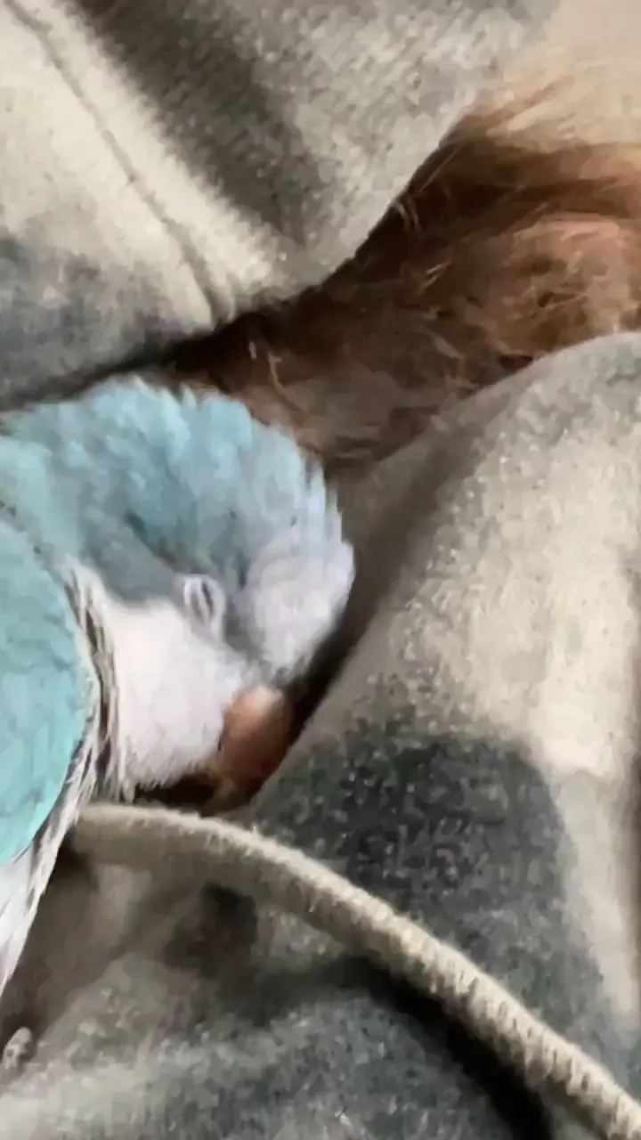 Her moods change as fast as mine that’s why we bond so well 😂 | Scrolller