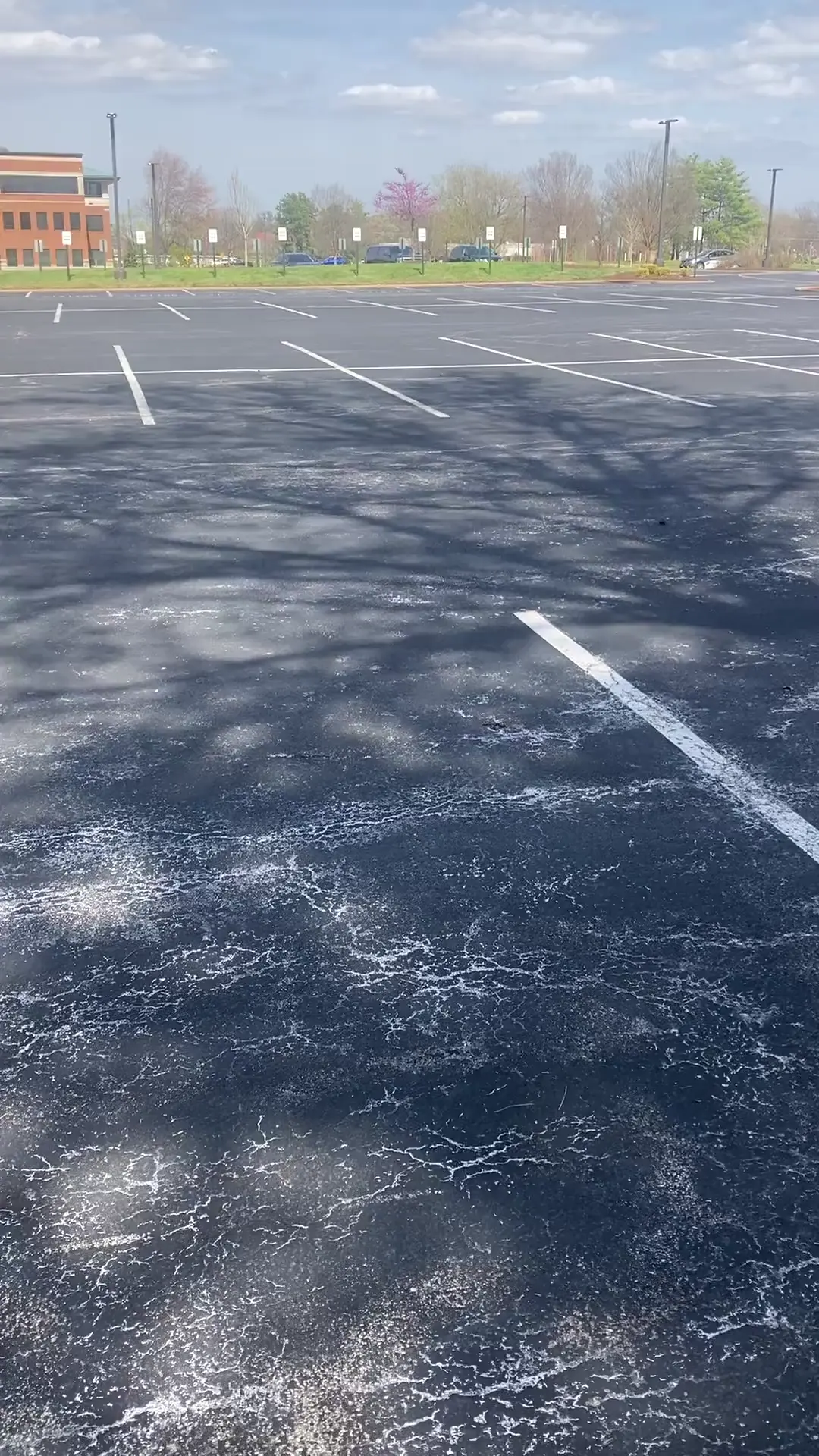 Here you go | Scrolller