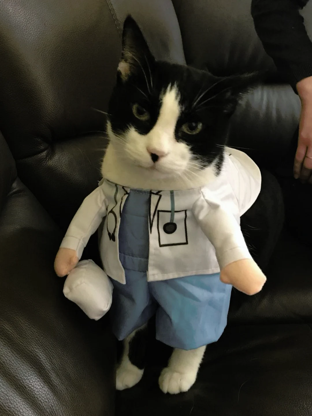 Here's Félix. He might look grumpy but he's just taking his job very ...