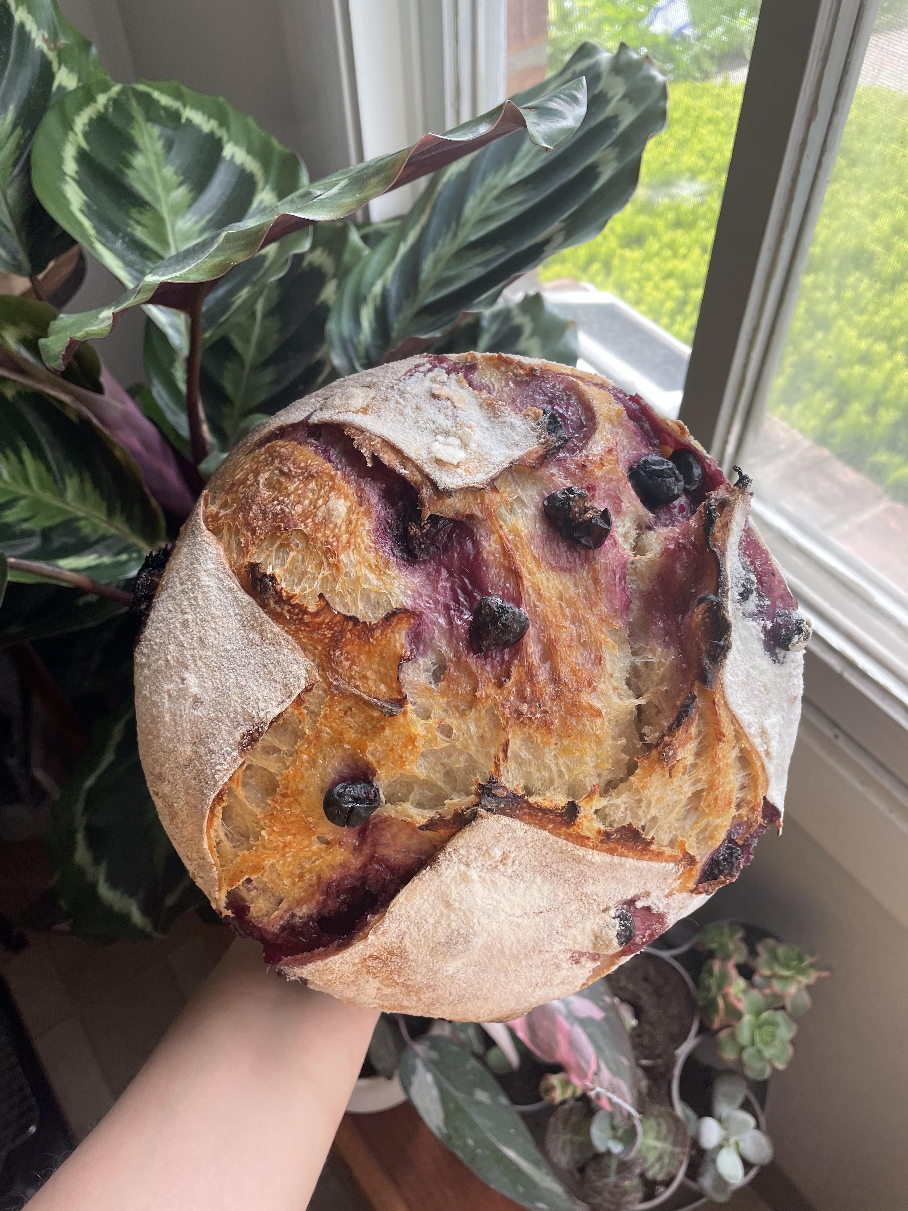 Blueberry lemon sourdough bread | Scrolller