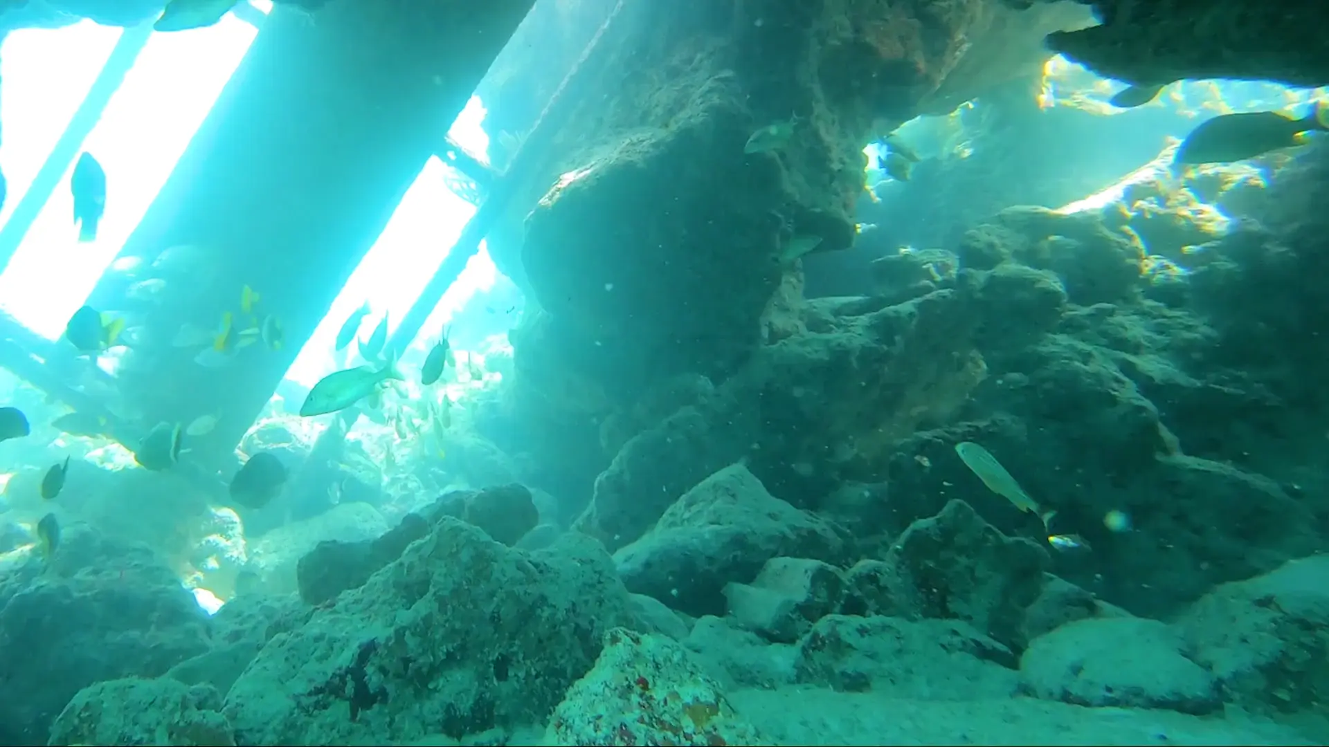 Hidden Caverns Fish Club, Isla Mujeres, Mia Reef | Scrolller
