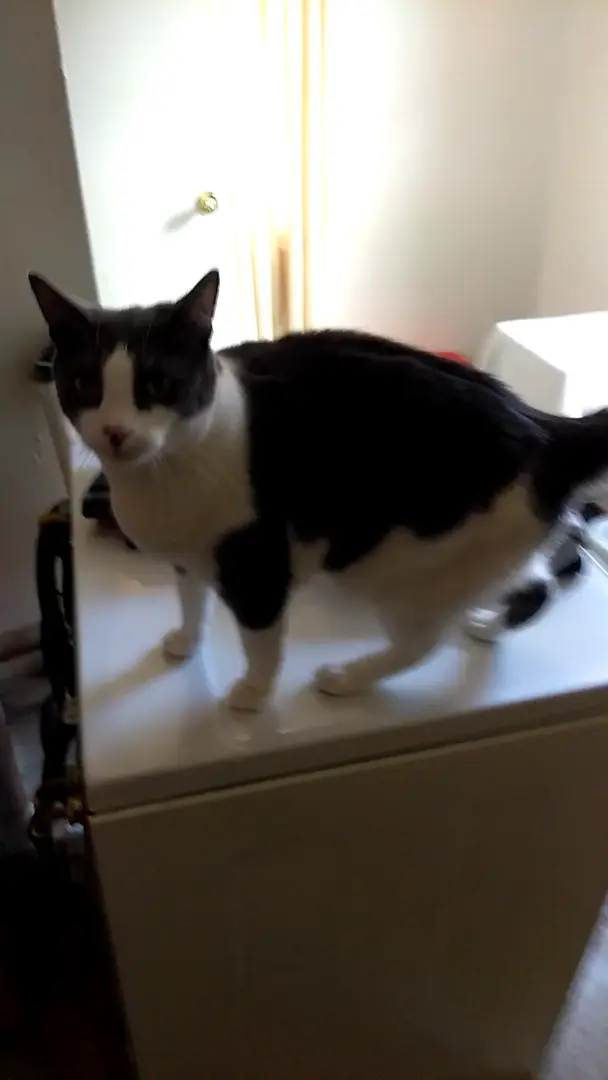 High Five of the Week! | Scrolller