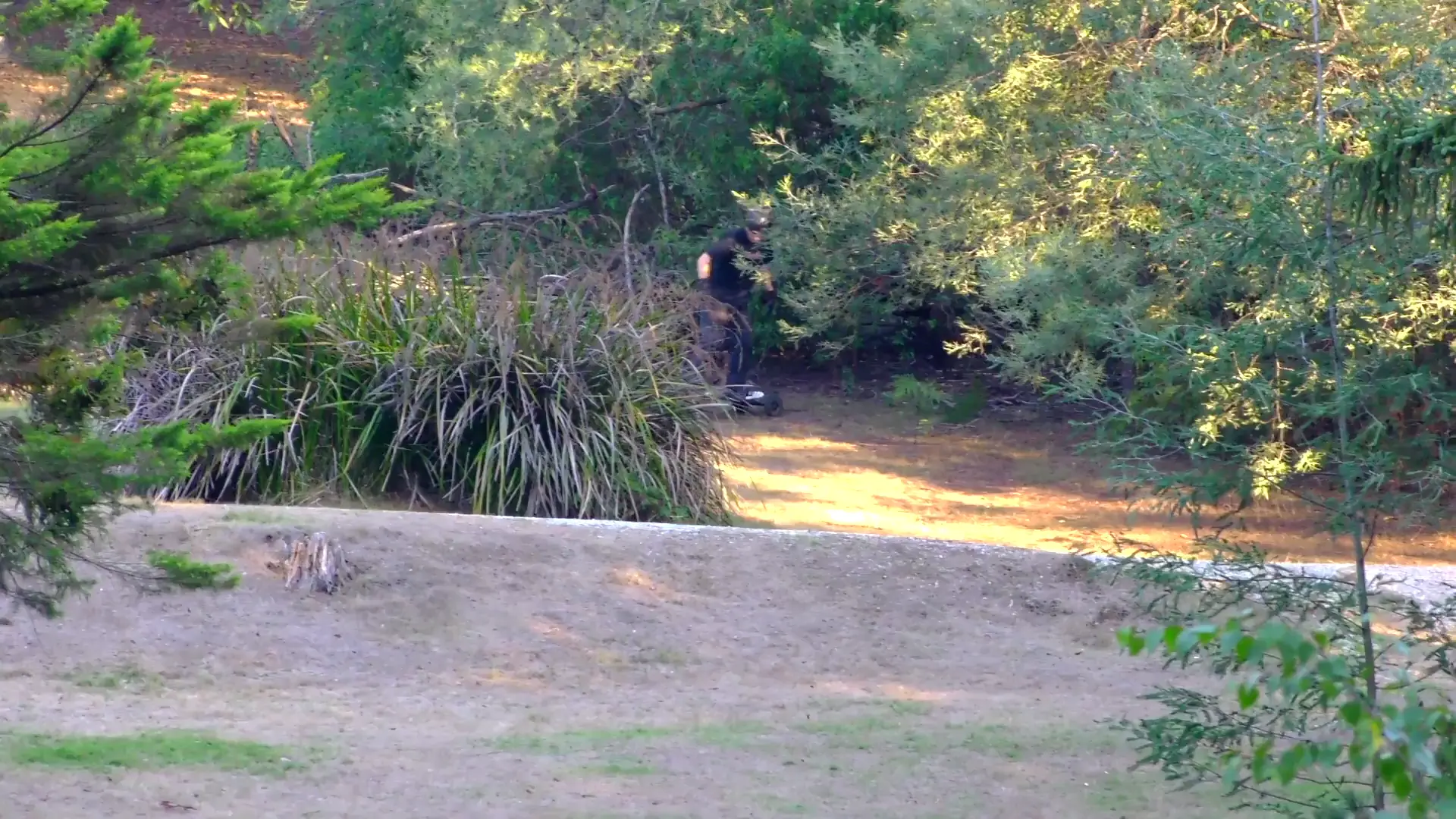 Hill bomb | Scrolller