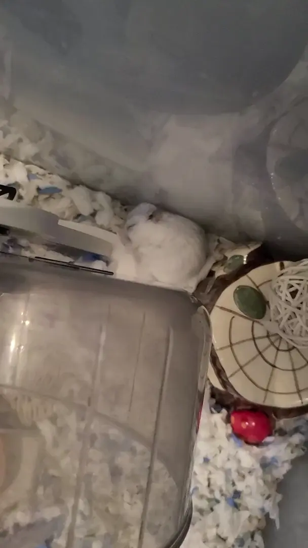 His new favourite spot is behind the wheel | Scrolller